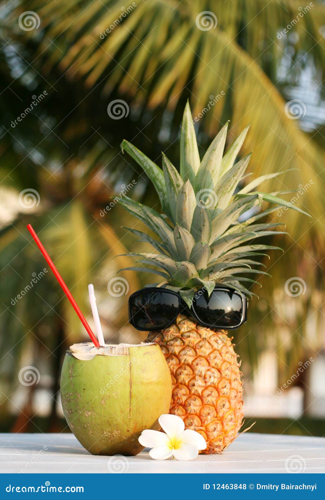 Coconut and pineapple stock photo. Image of garnish, fruit - 12463848