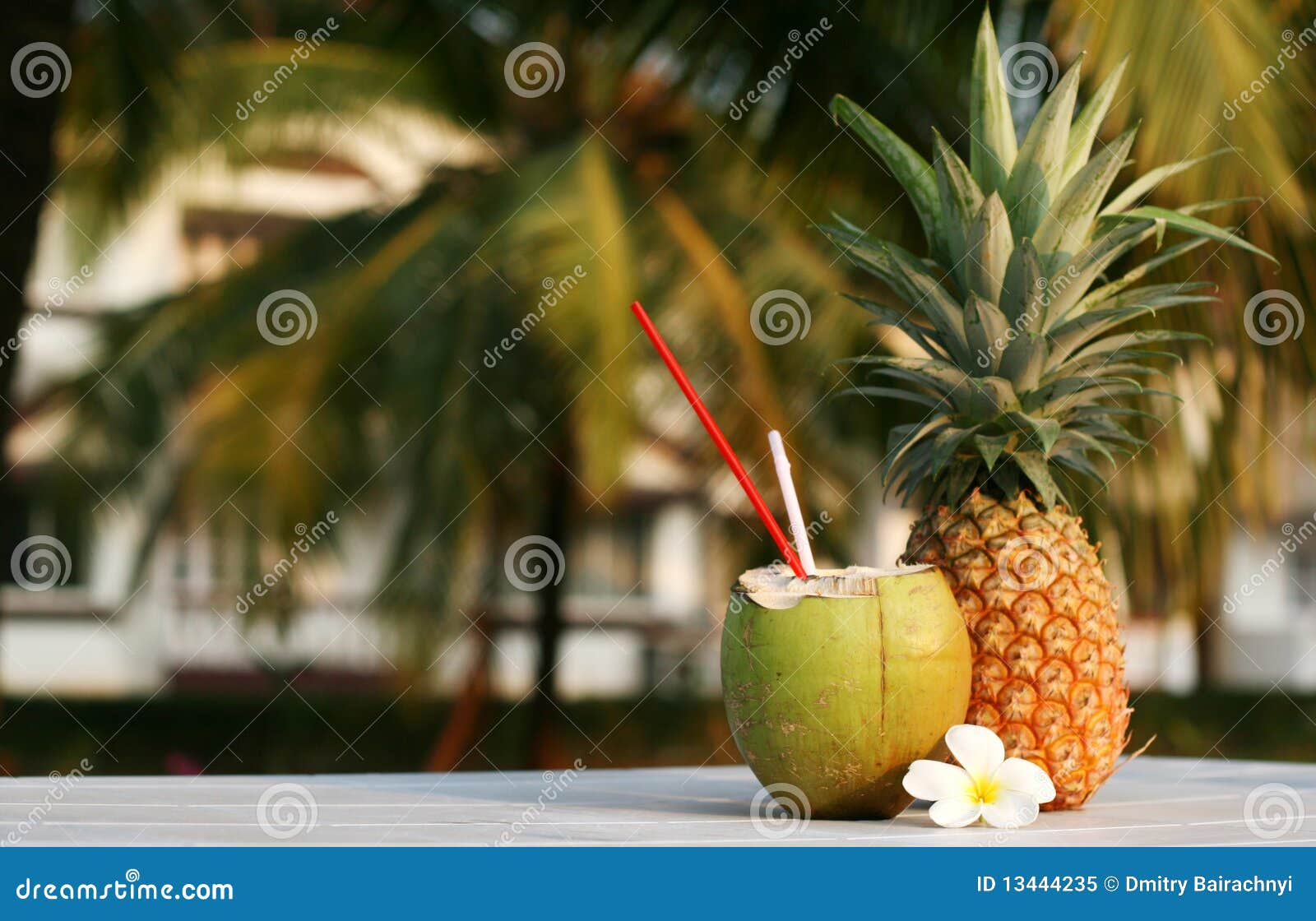 Coconut and pineapple stock image. Image of outdoors - 13444235
