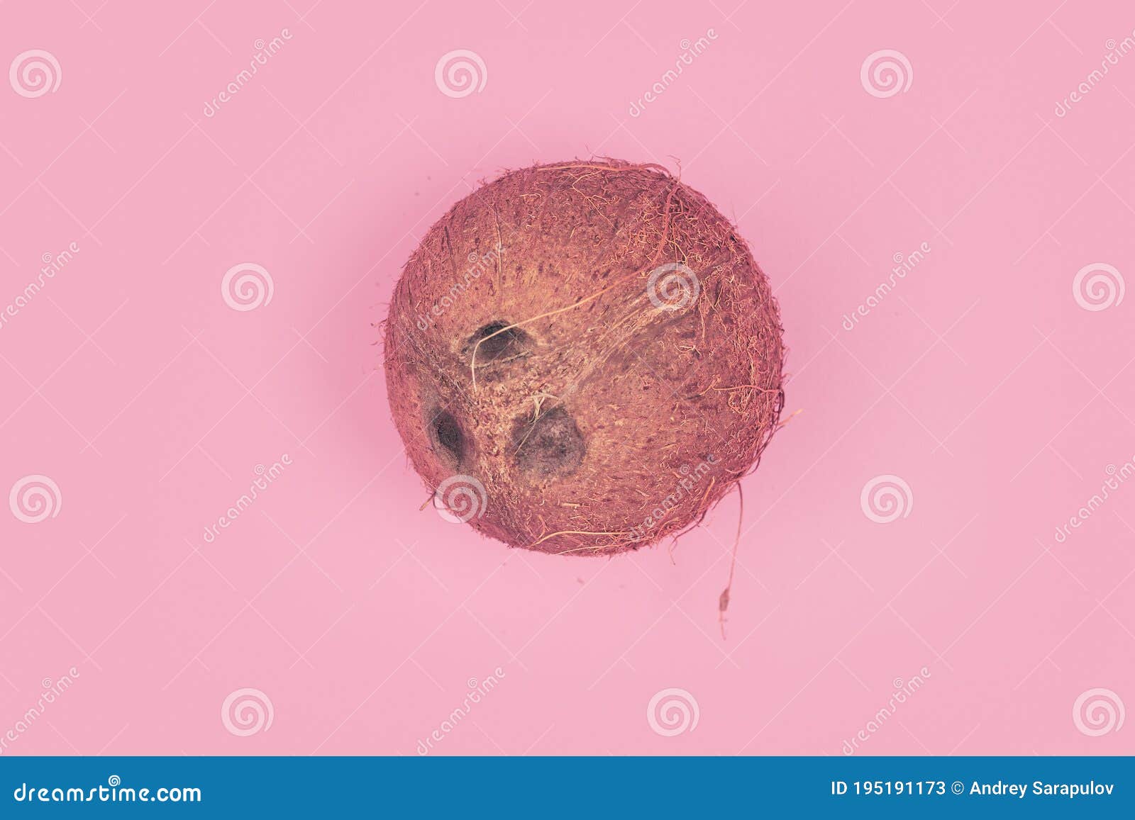Coconut on a Pink Background Isolate, Copyspace, Layout Stock Image ...