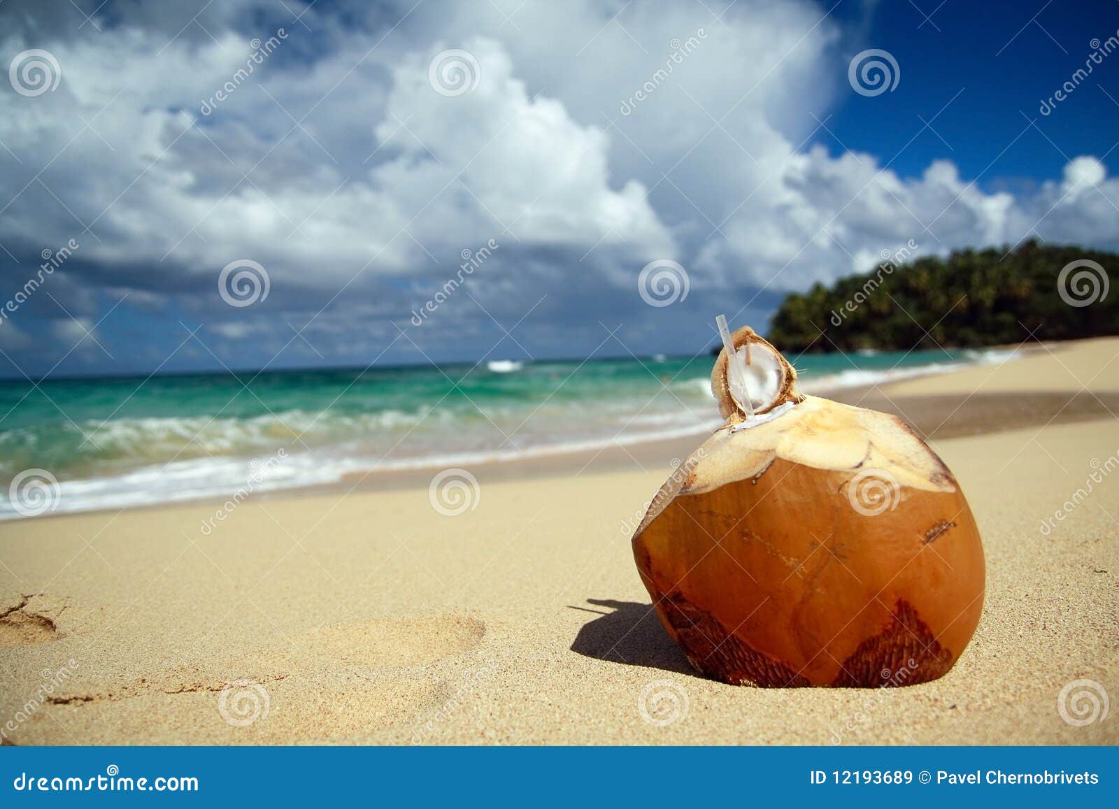 Coconut with Pipe on Beach of Ocean Stock Image - Image of holidays ...