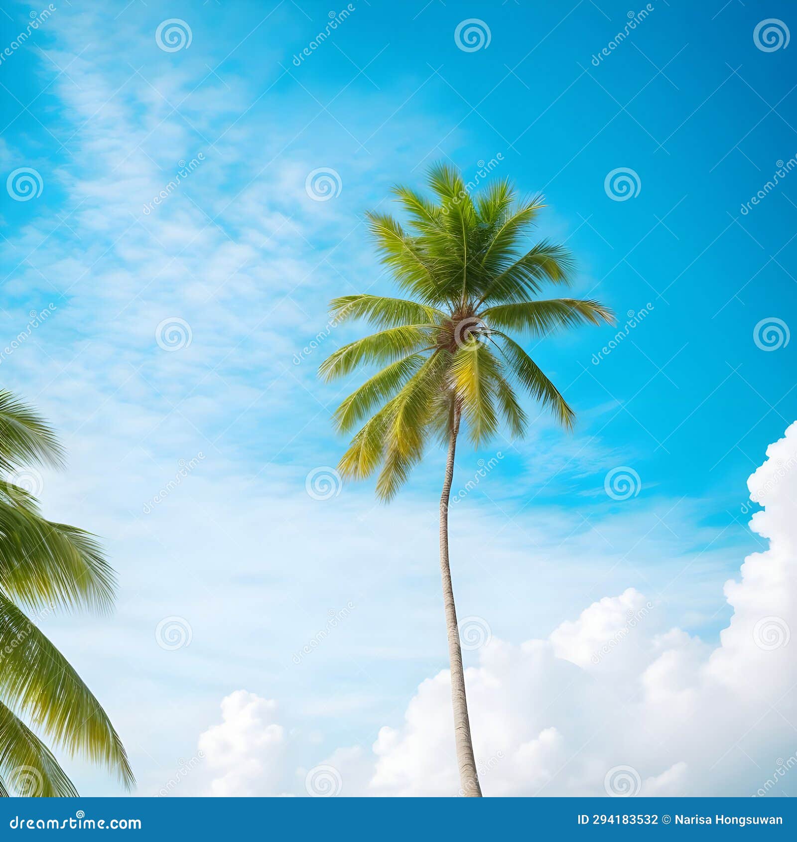 Coconut Plam Trees And Sun Shine With Blue Clear Sky On The Beach