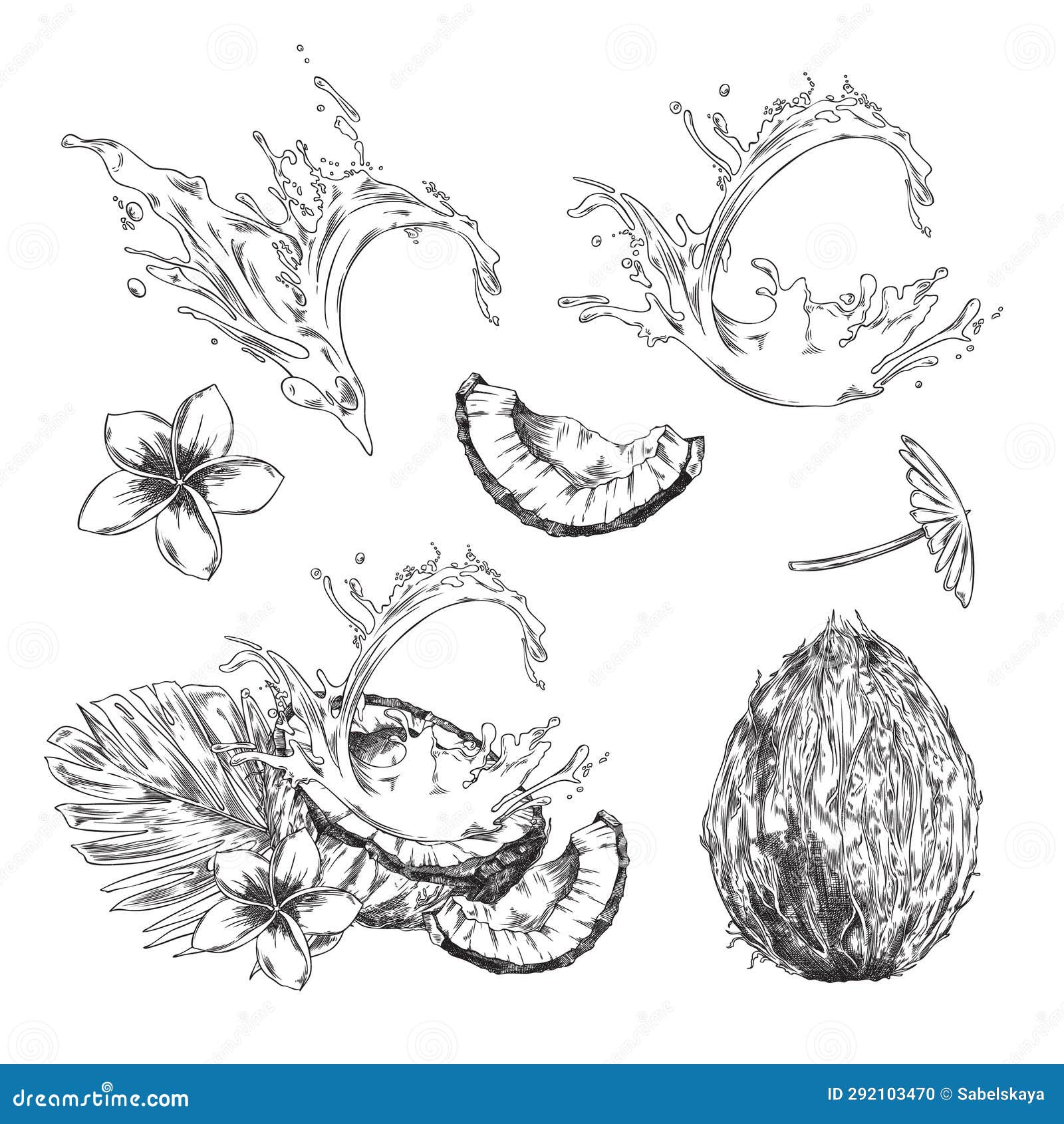 Coconut Plant and Milk Design Elements Sketch Vector Illustration ...
