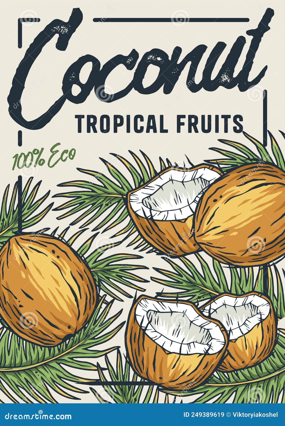 Coconut Poster. Summer Exoic Fruit and Nuts Design Stock Vector ...