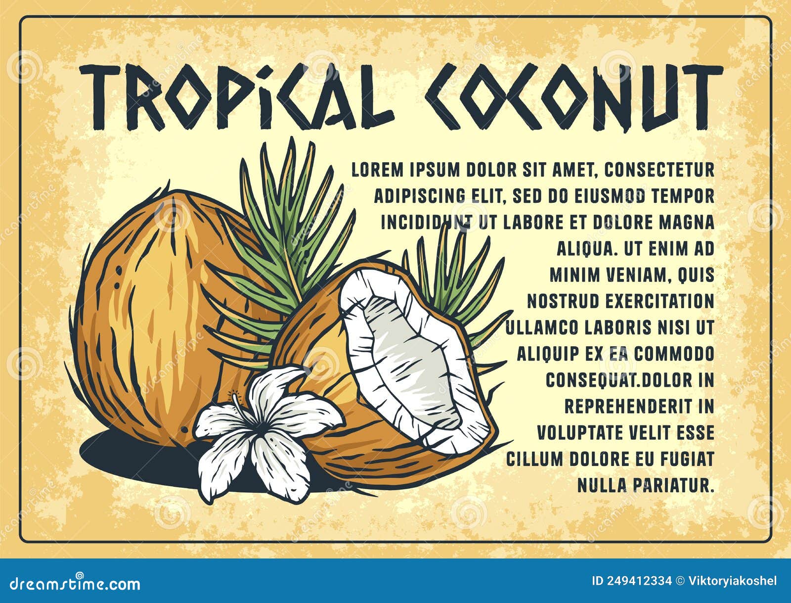 Coconut Poster Design Template, Vector Realistic Illustration ...