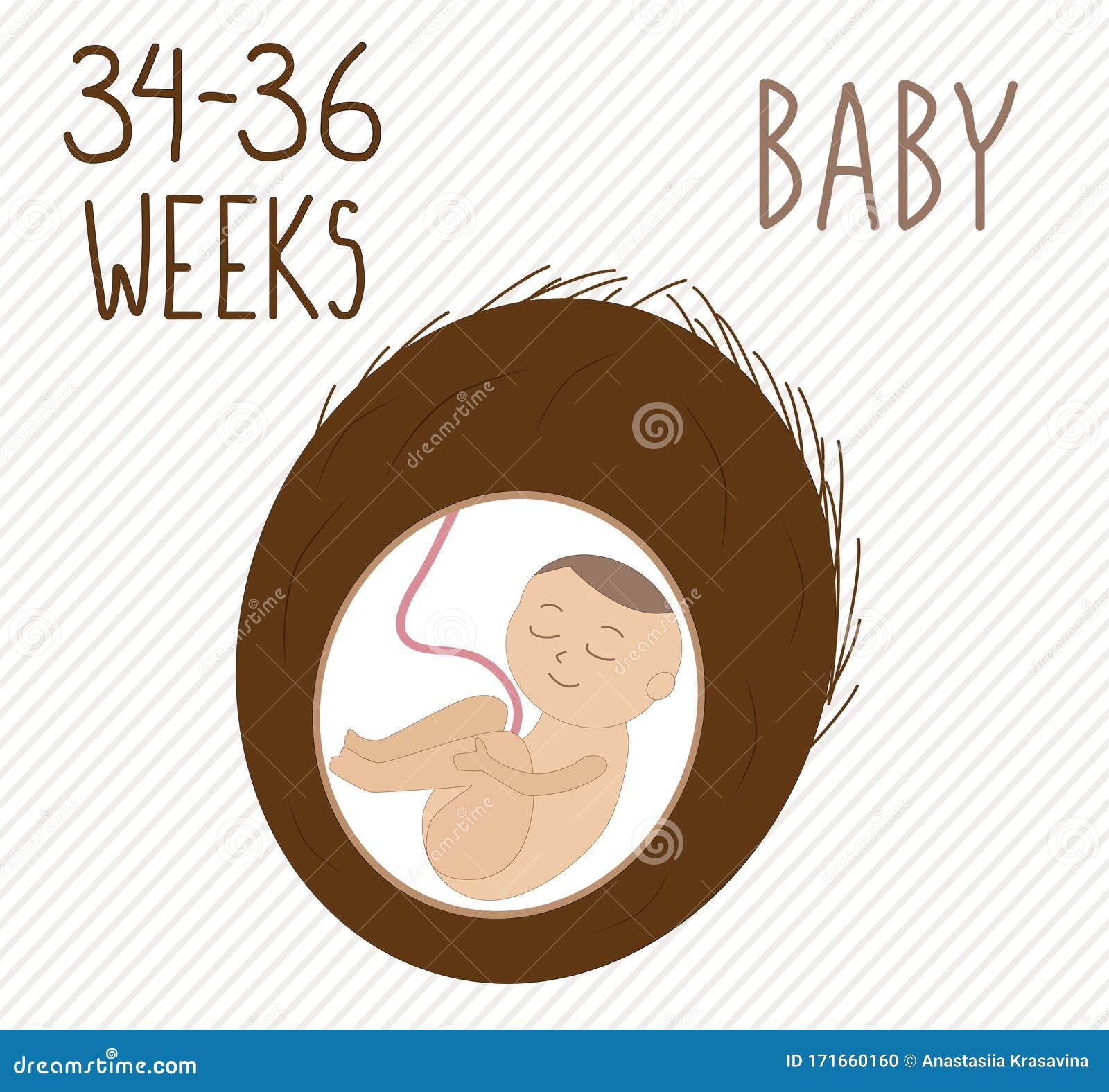 10 Weeks Fetus Cartoon Vector | CartoonDealer.com #321363573