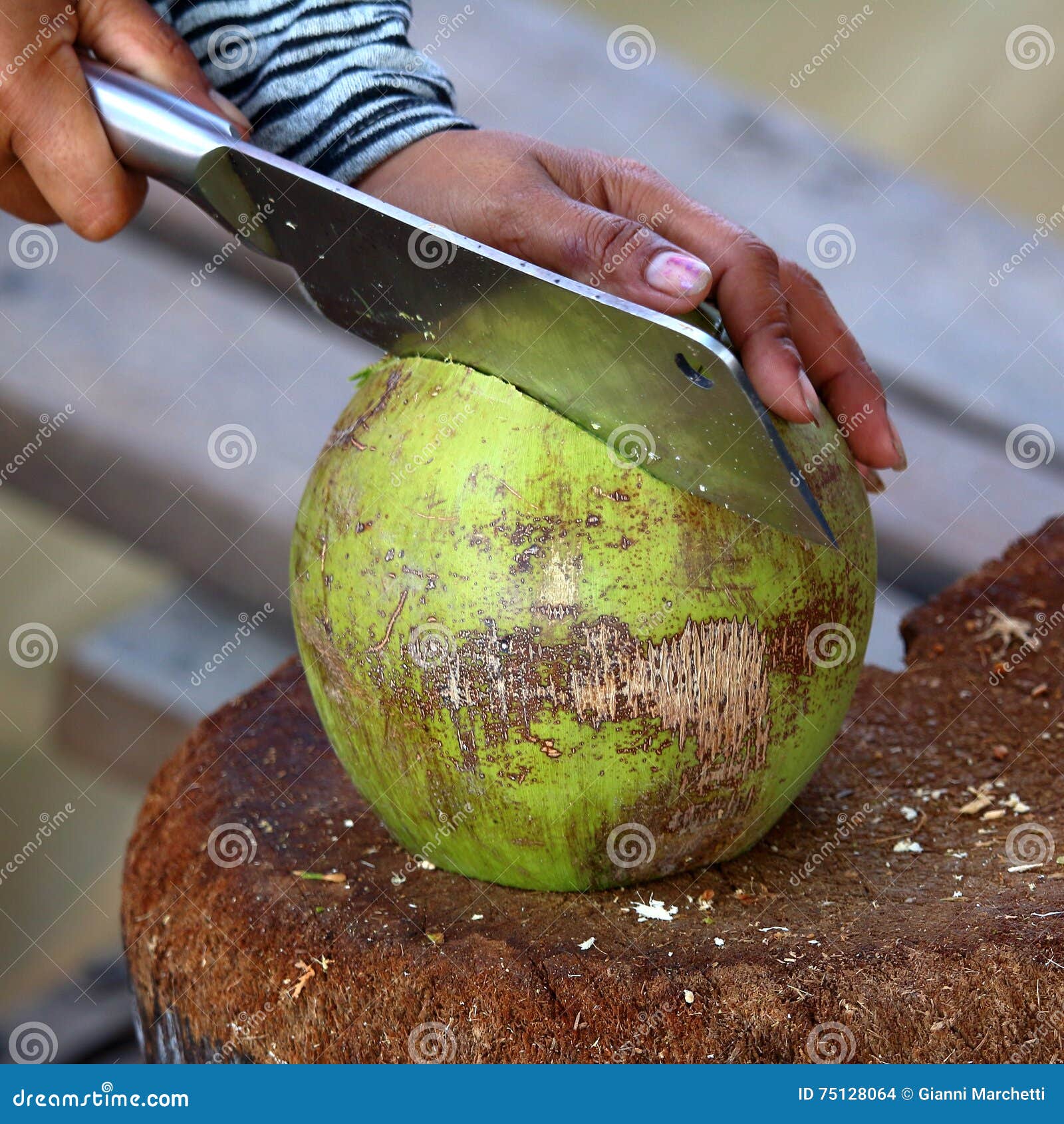 Coconut Preparation: Cutting Stock Photo - Image of asia, hand: 75128064