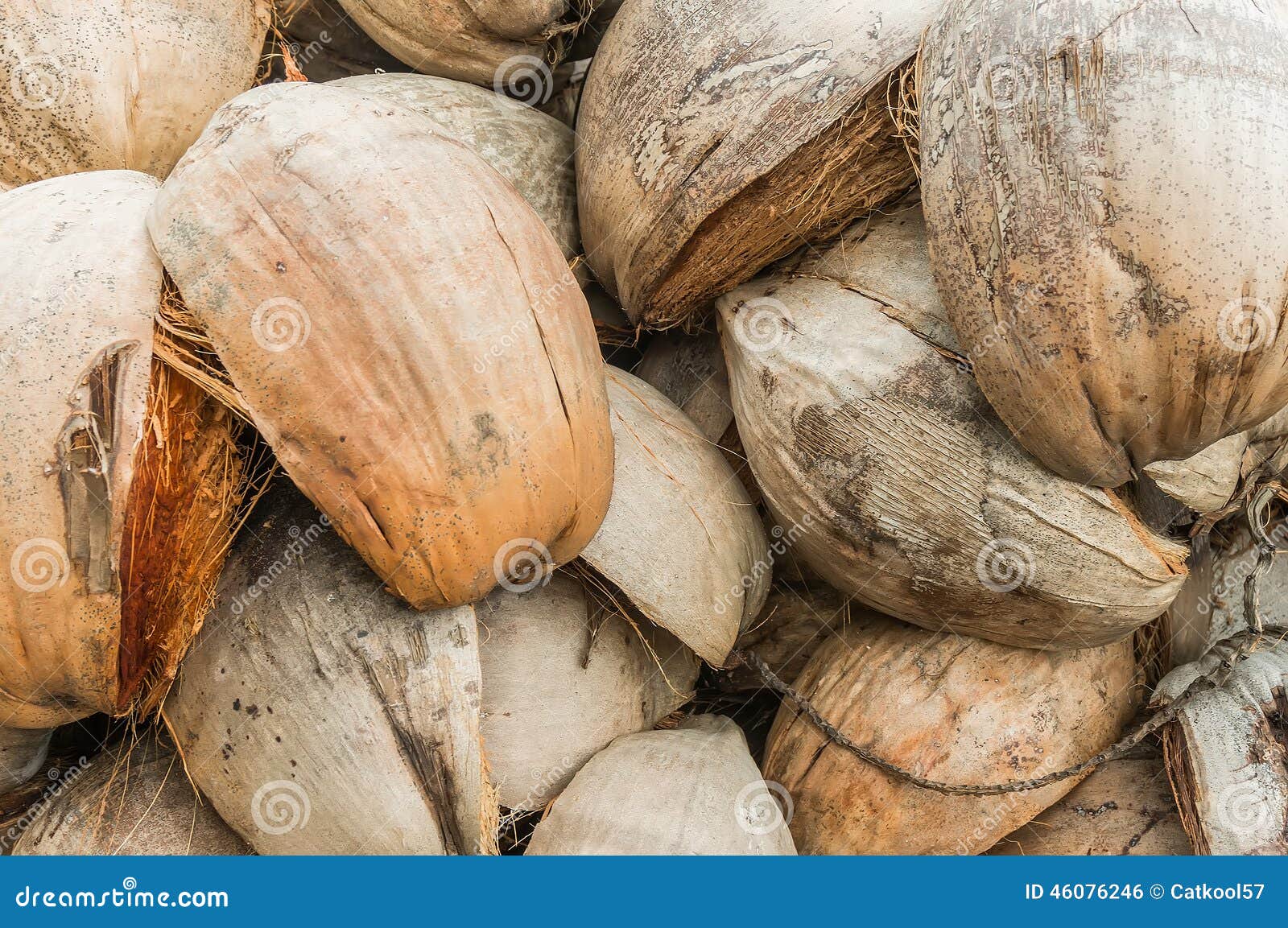 Coconut stock photo. Image of coco, hard, care, macro - 46076246