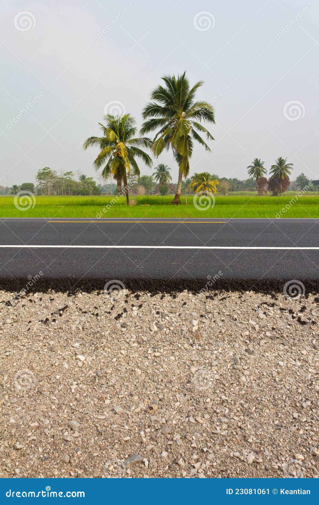 Coconut Road. stock image. Image of long, relax, layers - 23081061