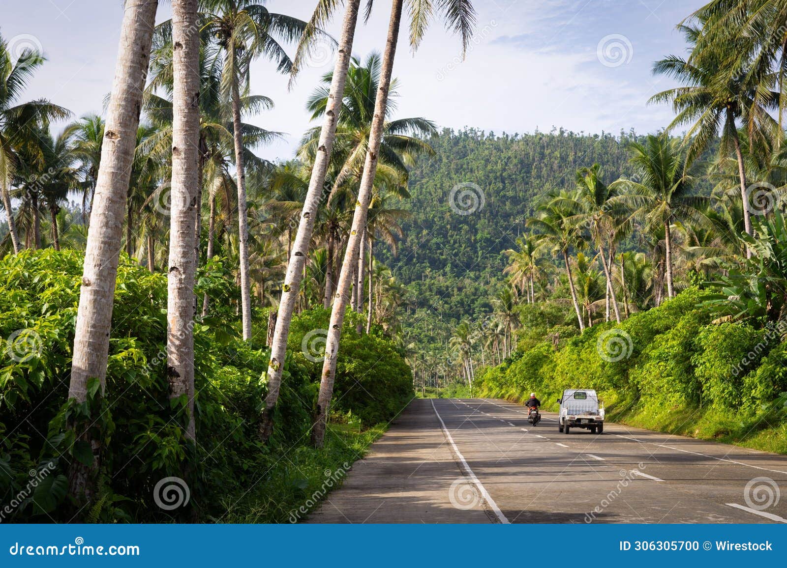 Coconut Road in Siargao, Philippines - a Scenic Pathway Lined with ...