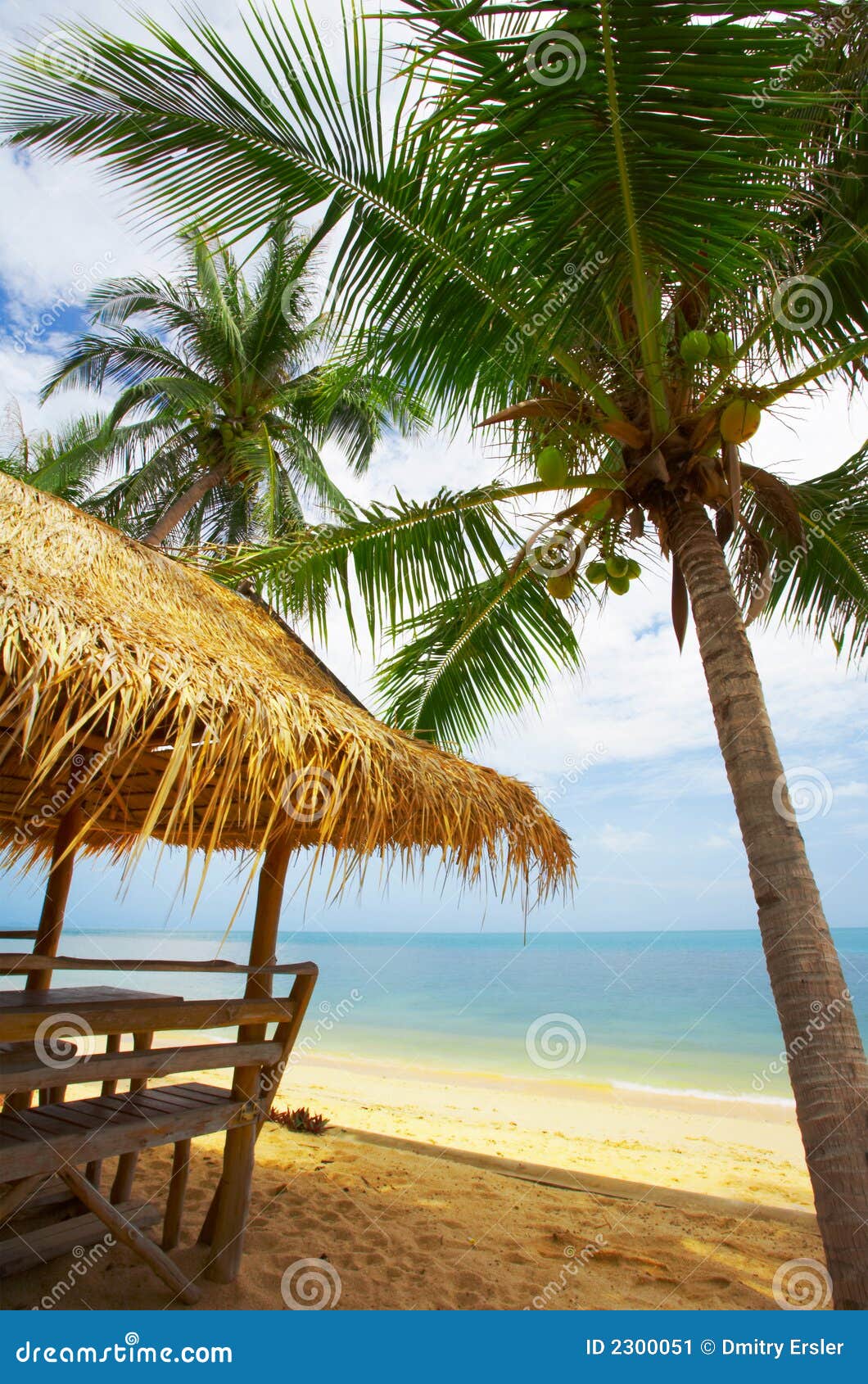 Coconut roof stock image. Image of crib, bamboo, summerhouse - 2300051