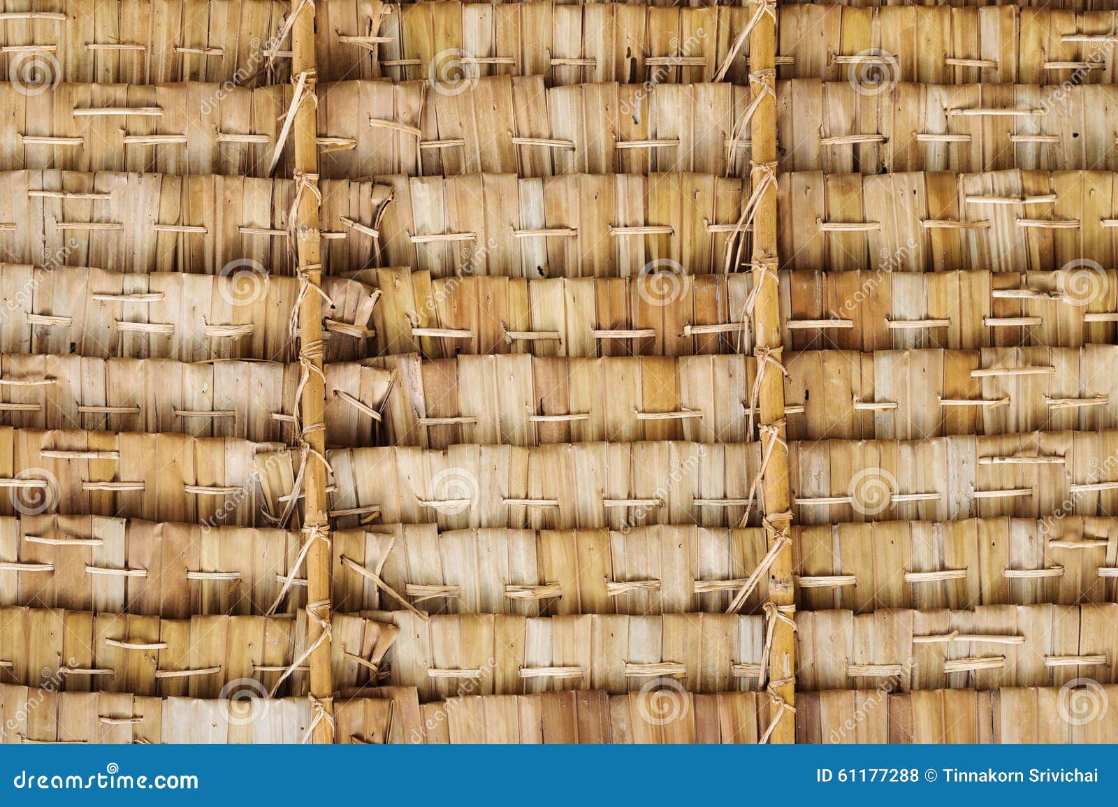 Coconut roof stock photo. Image of local, leaf, roof - 61177288