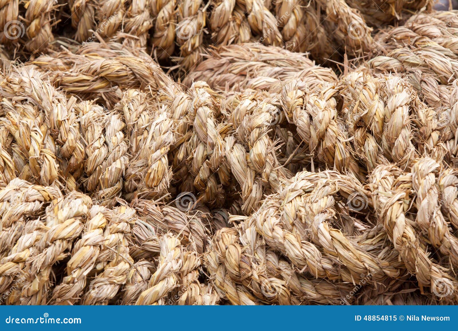 Coconut rope stock image. Image of knots, knotted, india - 48854815