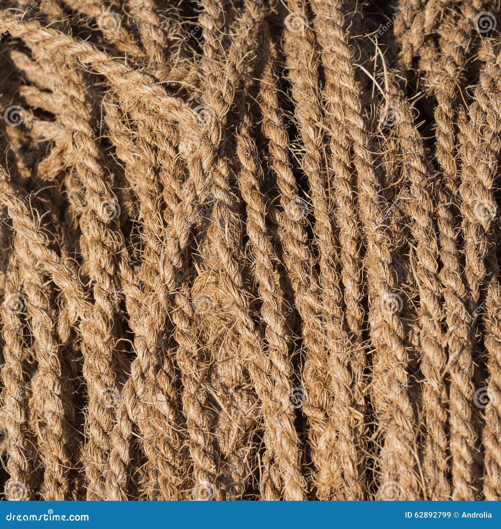 Coconut Rope Texture Stock Image | CartoonDealer.com #65099689