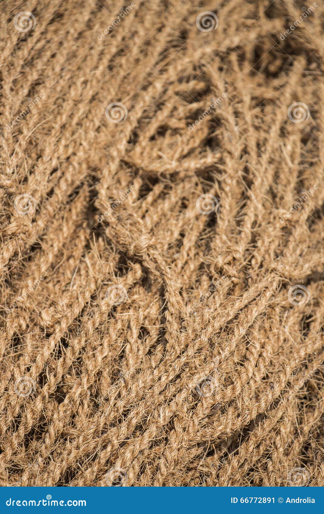 Coconut rope texture stock image. Image of hemp, loop - 66772891
