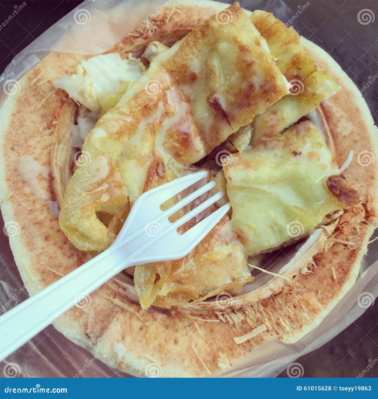 Coconut roti stock photo. Image of fruit, cook, asia - 61015628