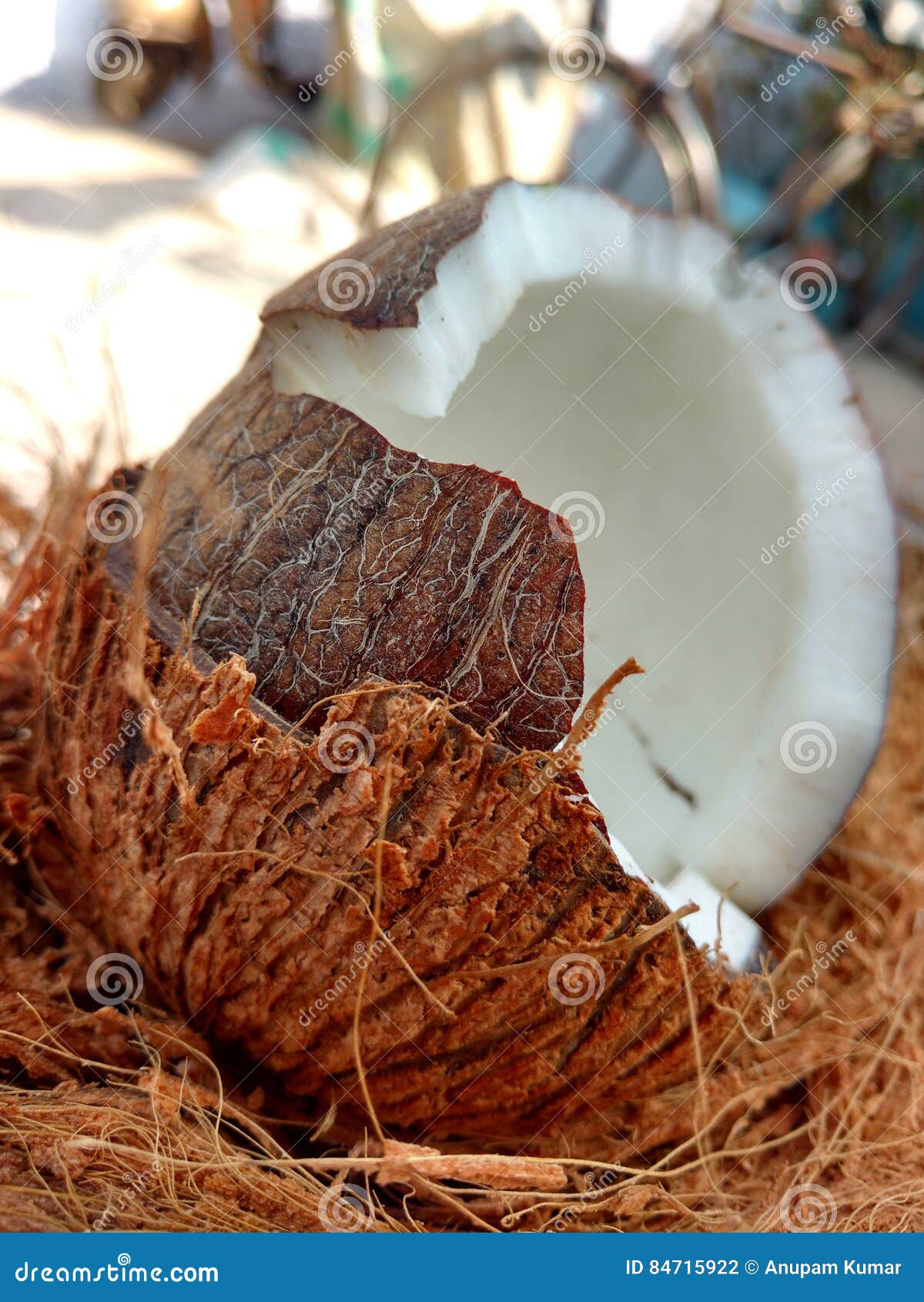 Coconut stock photo. Image of wood, shell, coconut, broken - 84715922