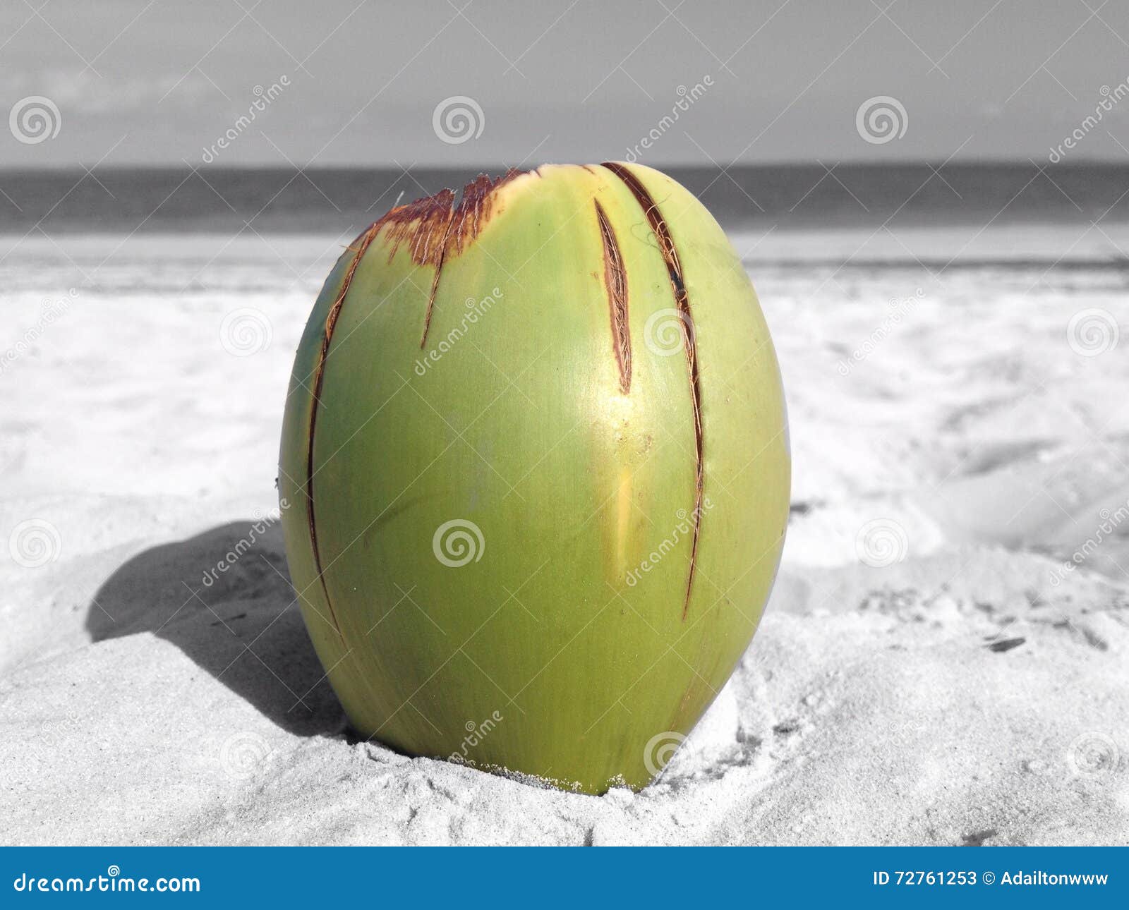 Coconut stock image. Image of sand, beach, coconut, ocean - 72761253