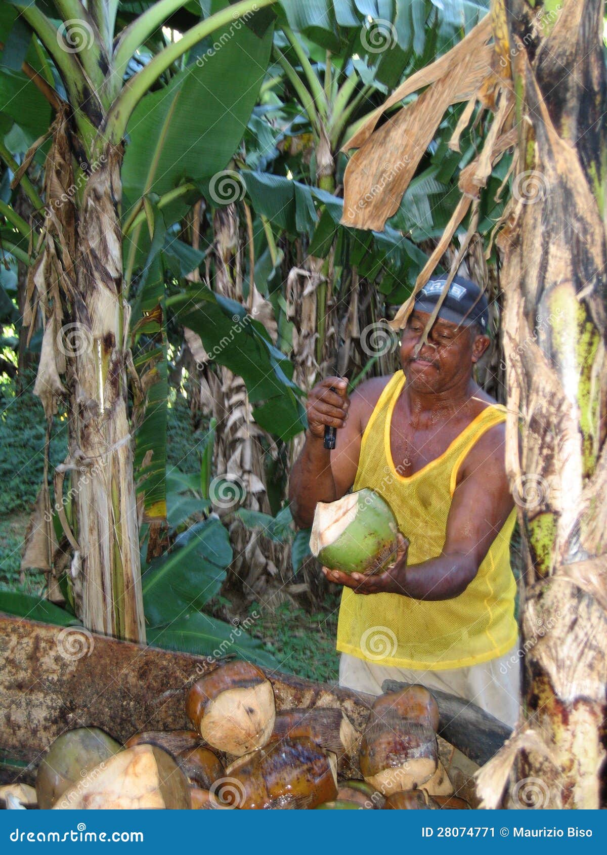 Coconut seller editorial photo. Image of market, descent - 28074771