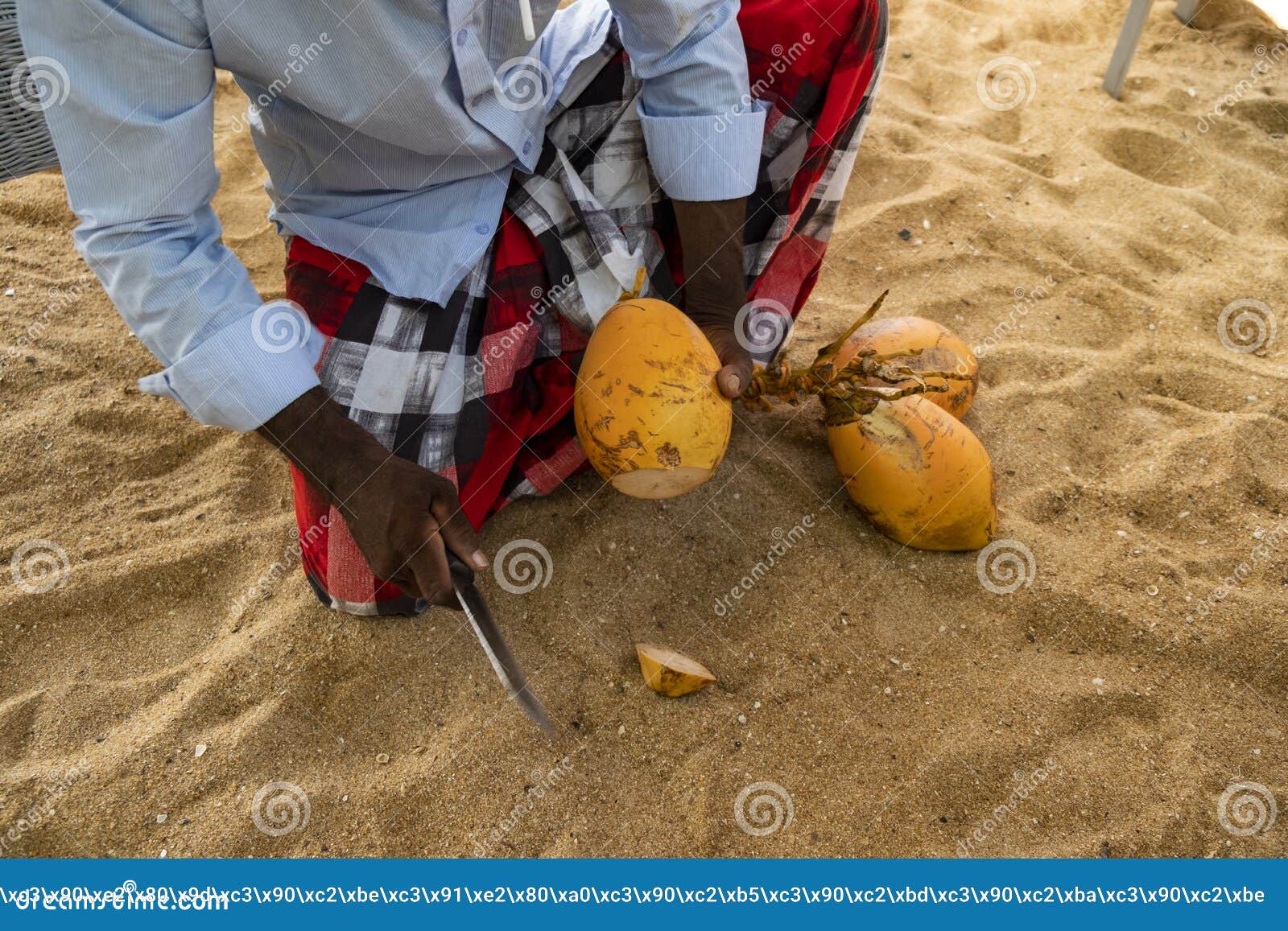 Coconut Seller on the Beach Sri Lanka Stock Image - Image of food, asia ...