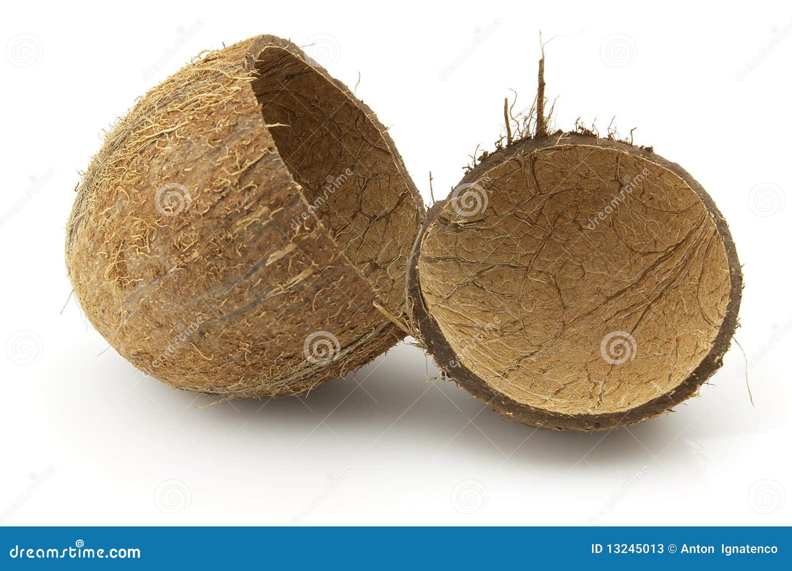 Coconut shell stock image. Image of shell, nature, coconut - 13245013
