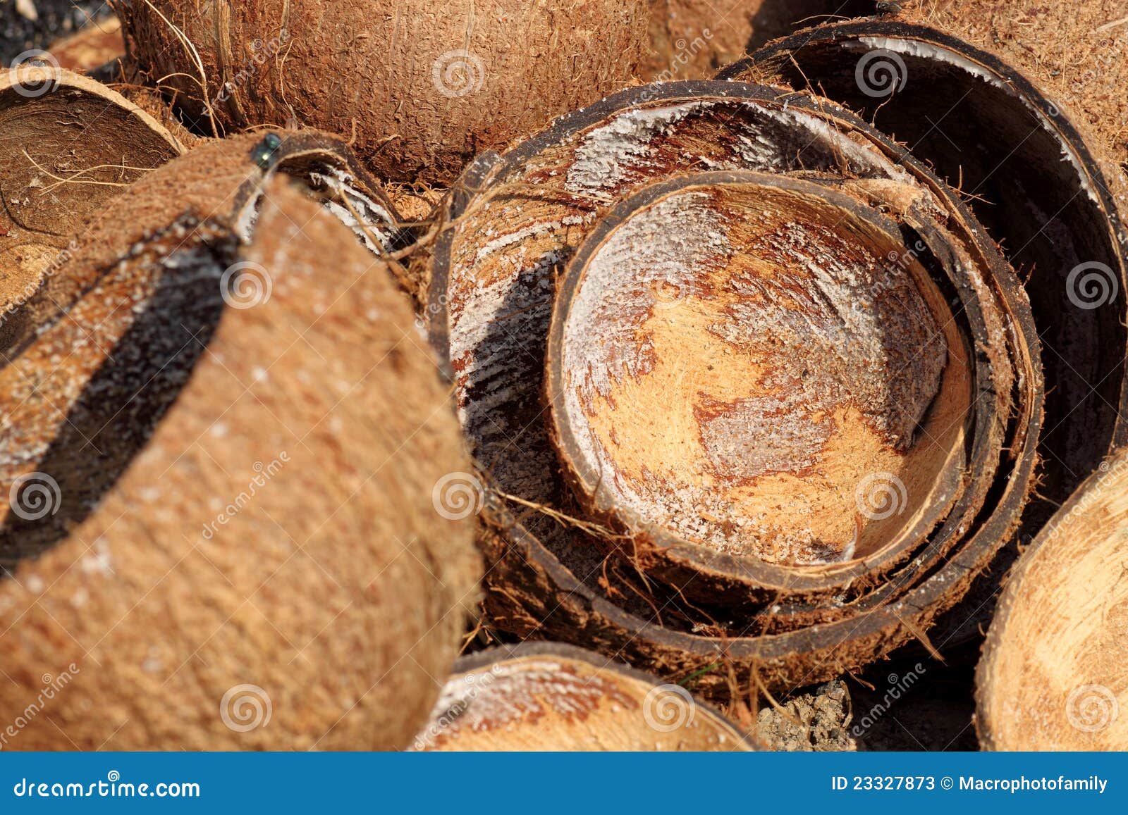 Coconut shell stock image. Image of nature, natural, fruit - 23327873
