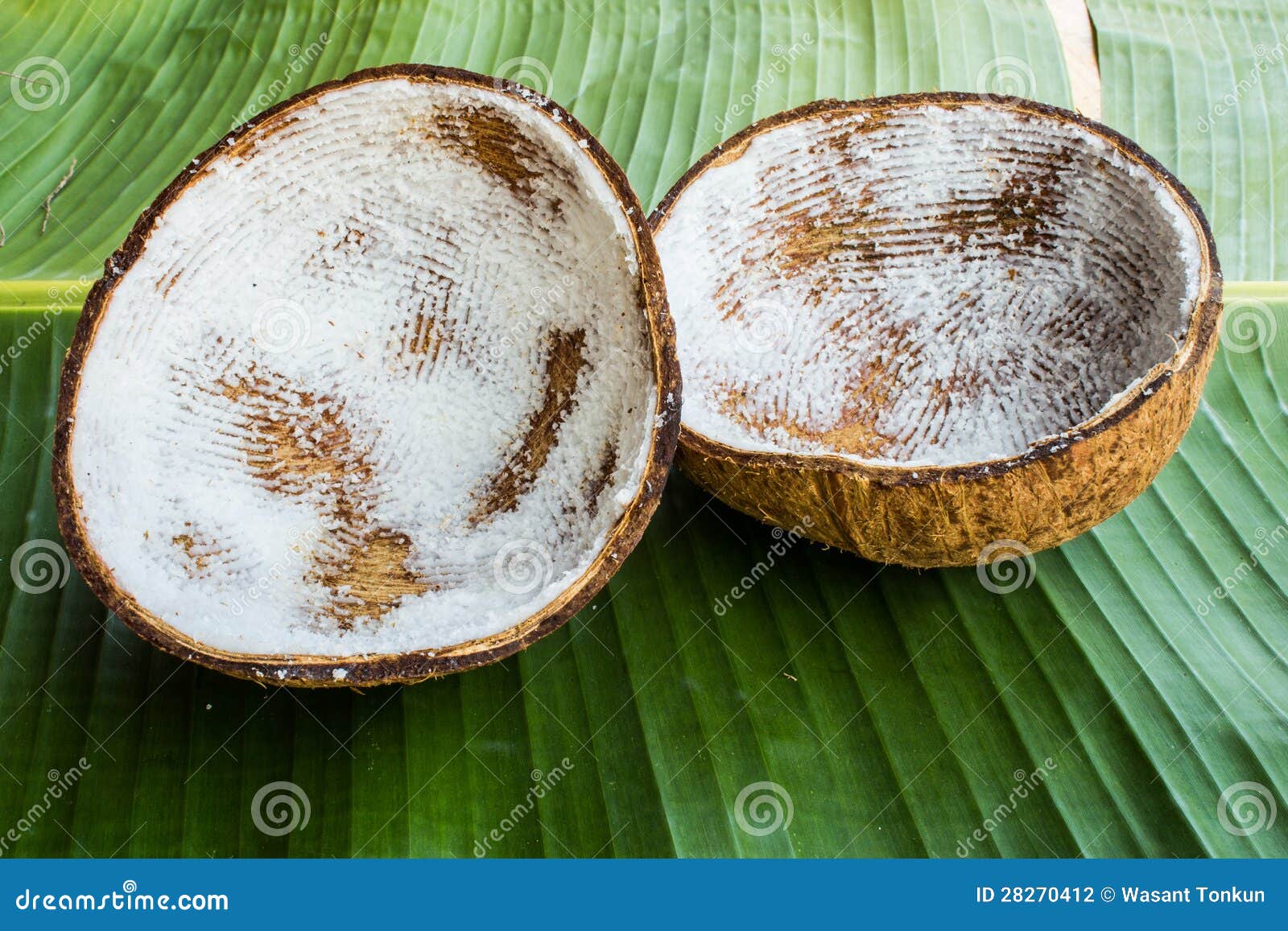 Coconut shell stock photo. Image of coconut, cracked - 28270412