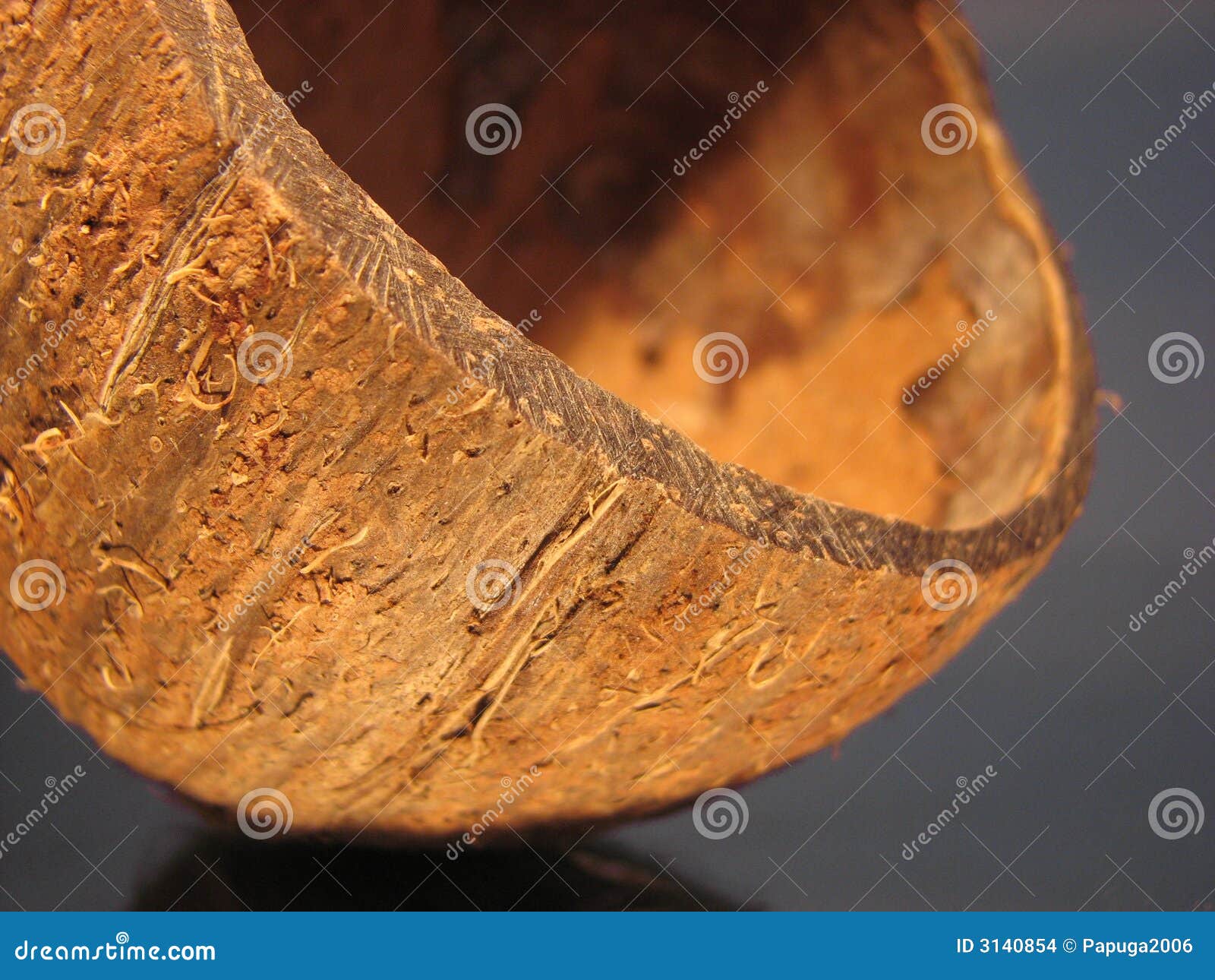 Coconut shell stock photo. Image of wooden, nature, husk - 3140854