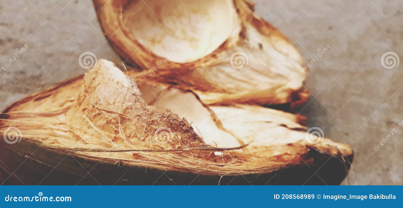 Coconut Shell on the Beach. Stock Image - Image of ocean, beach: 208568989