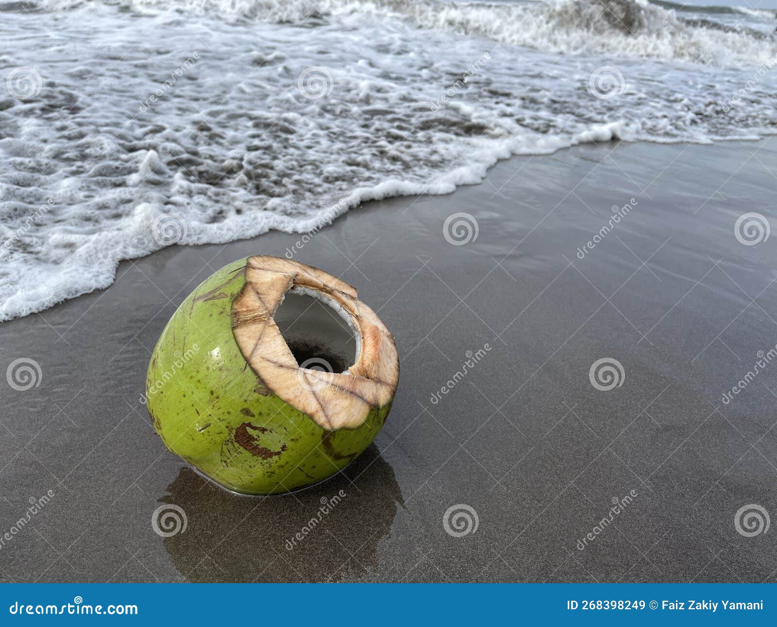 Coconut Shell Being Dumped on the Beach Stock Image - Image of natural ...