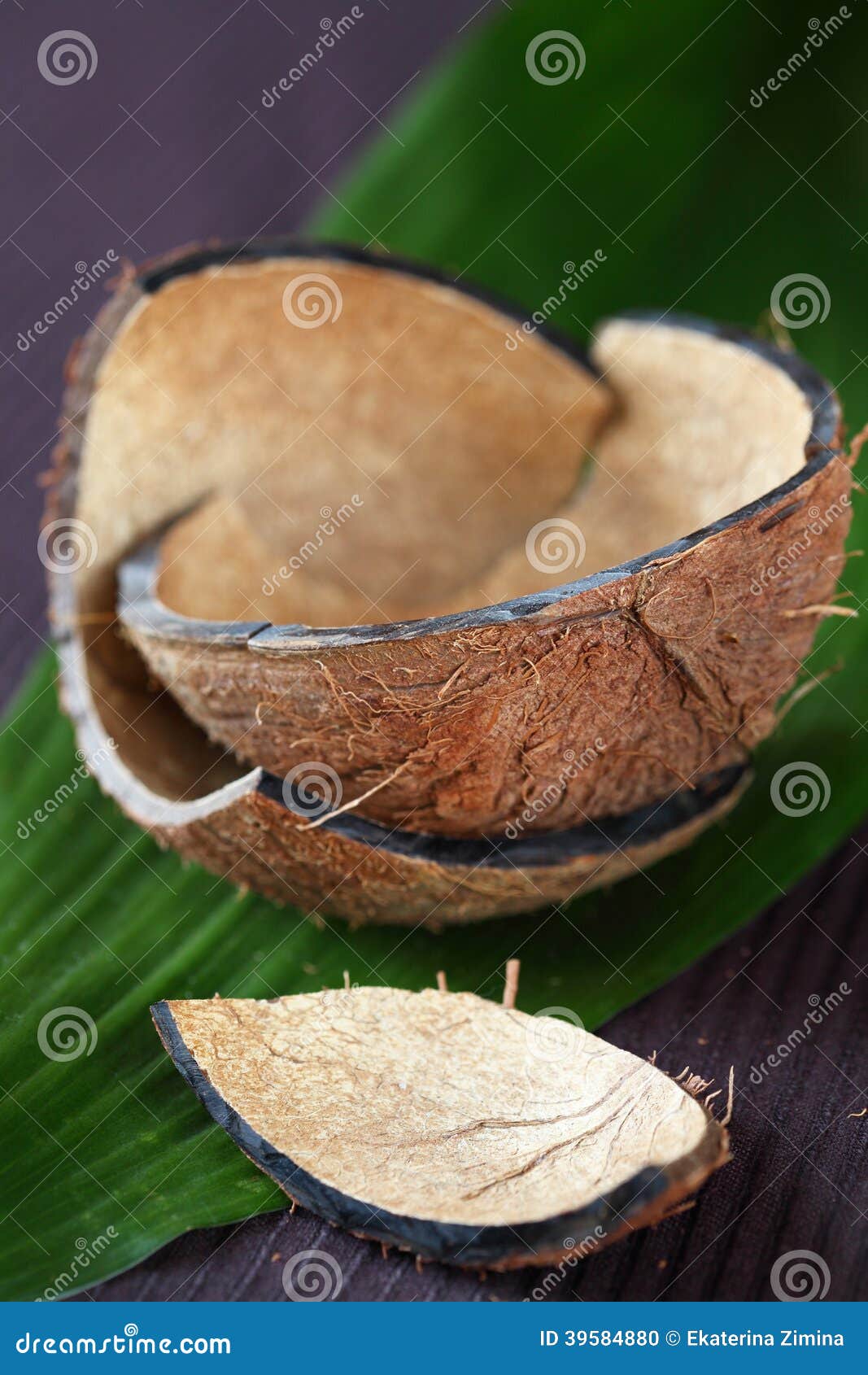 Coconut Shell stock photo. Image of hairy, fresh, empty - 39584880