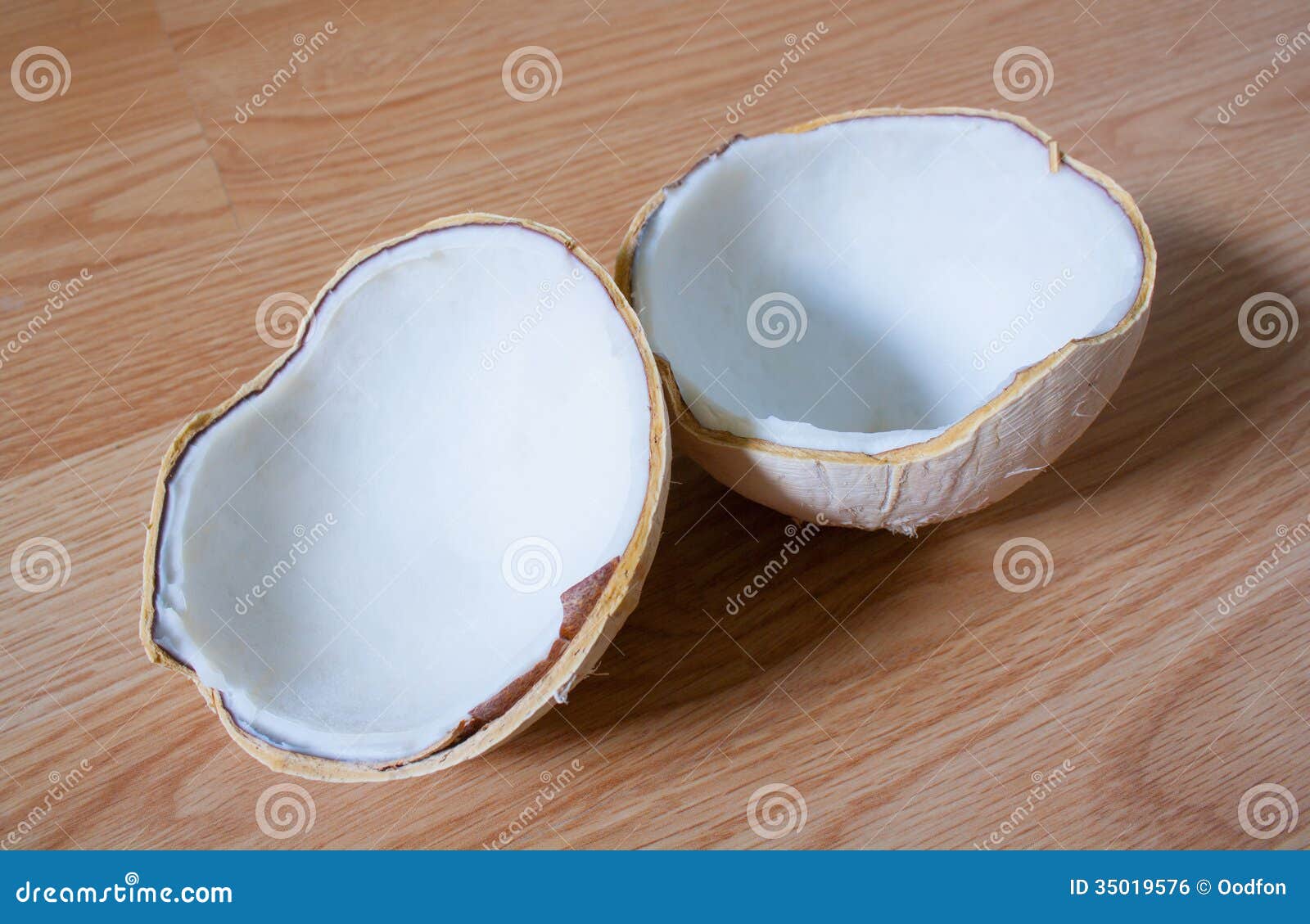 Coconut shell with coconut stock photo. Image of white - 35019576
