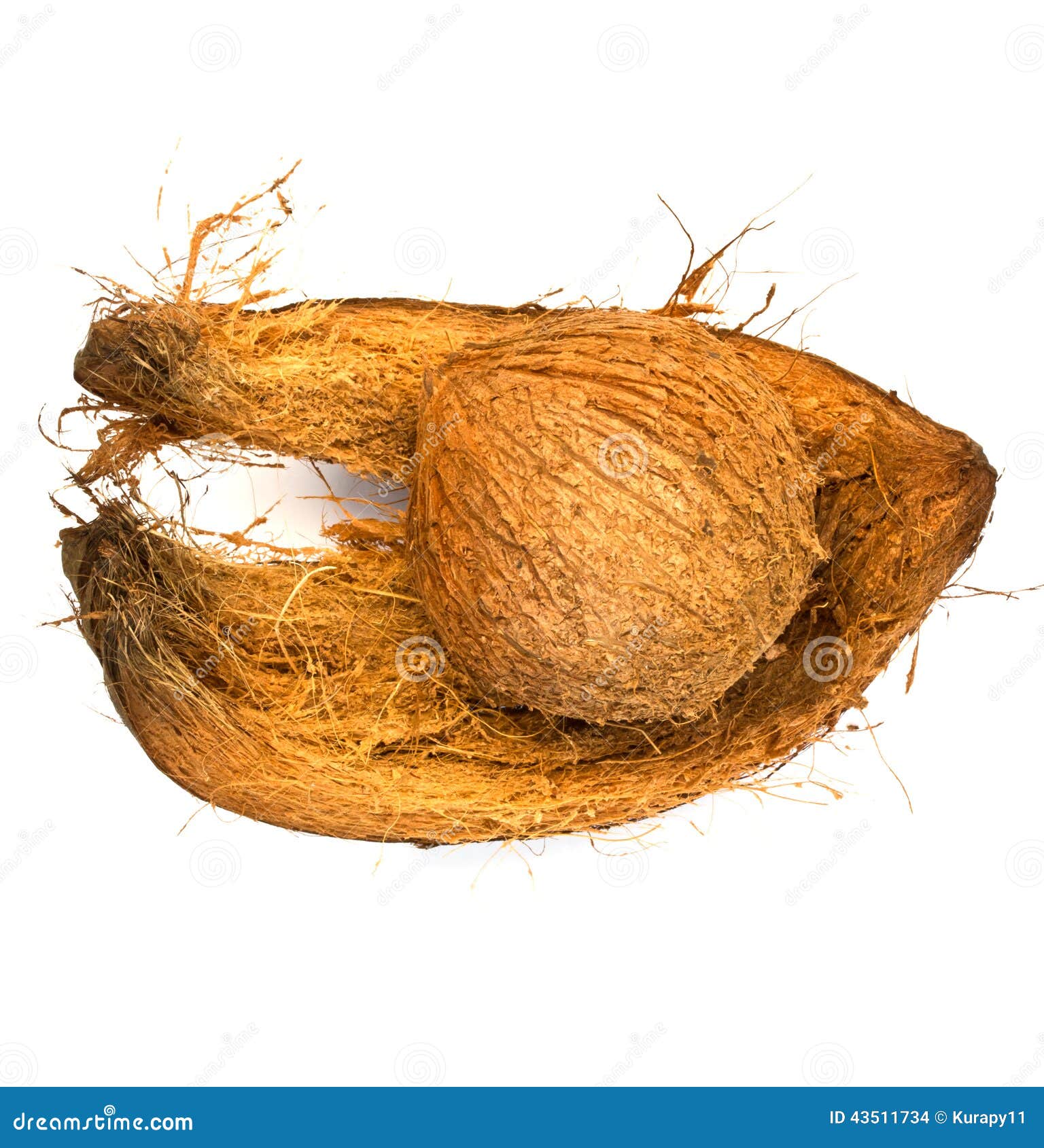 Coconut Shell and Coconut Spathe Stock Photo - Image of freshness ...