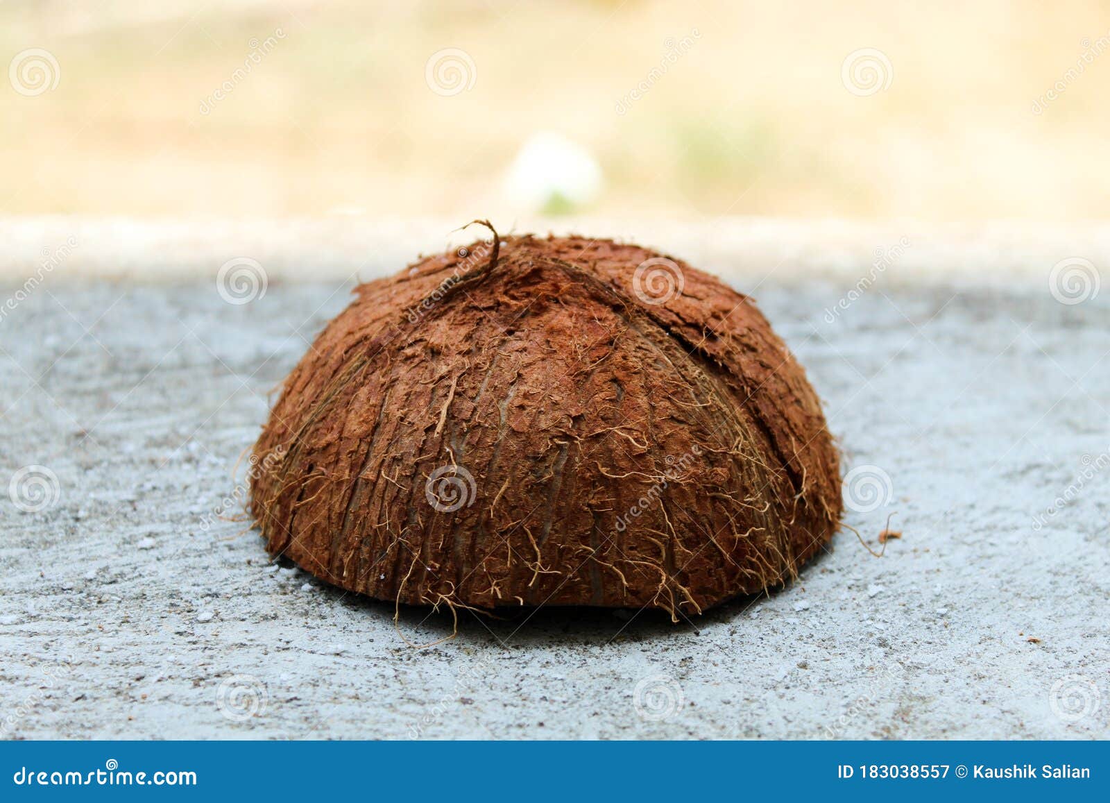 Coconut shell cut in half stock image. Image of portion - 183038557