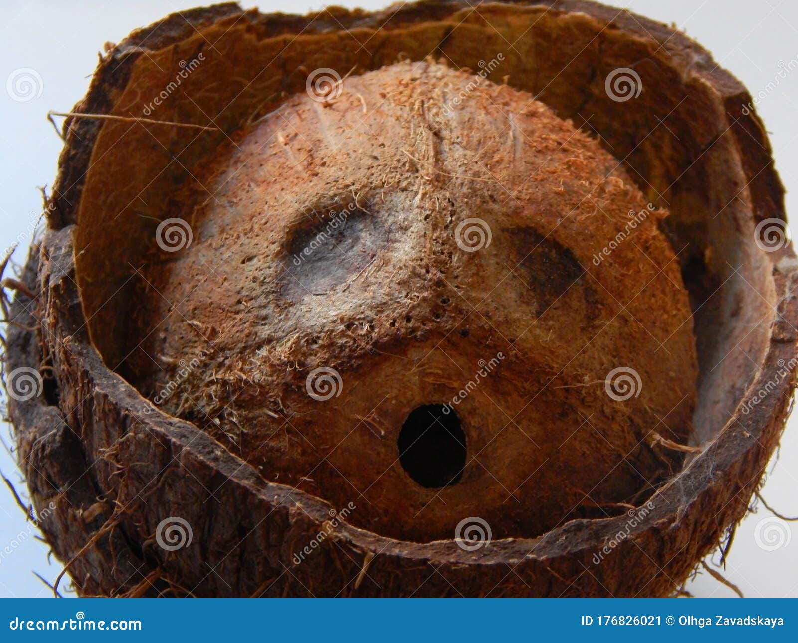 Coconut shell face editorial photo. Image of natural - 176826021