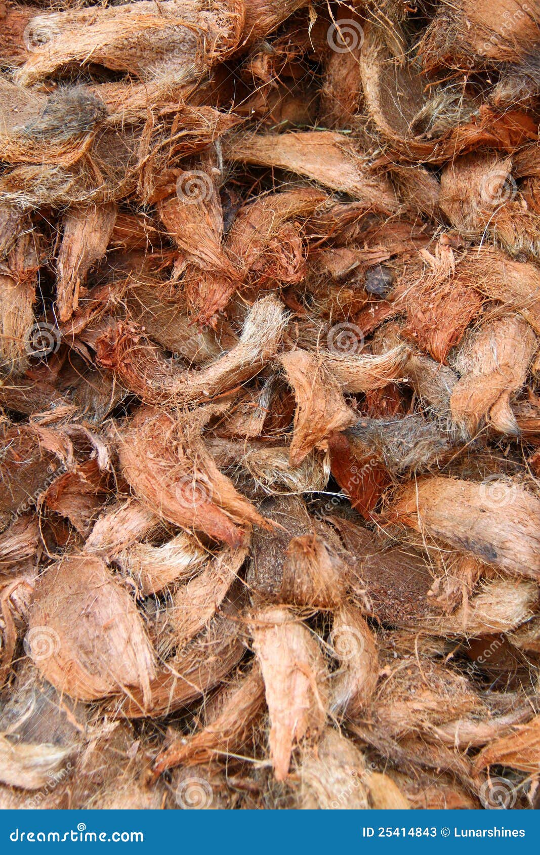 Coconut shell fibers stock image. Image of gardening - 25414843