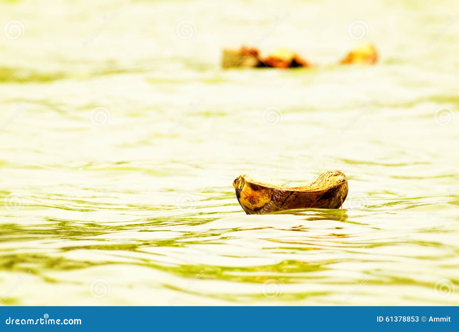 Coconut Shell Floating stock image. Image of horizontal - 61378853