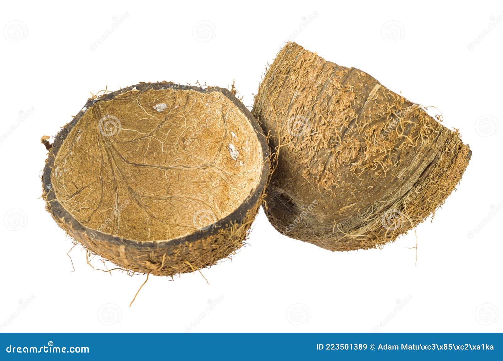 Coconut Shell Isolated on White Stock Image - Image of cracked, fruit ...