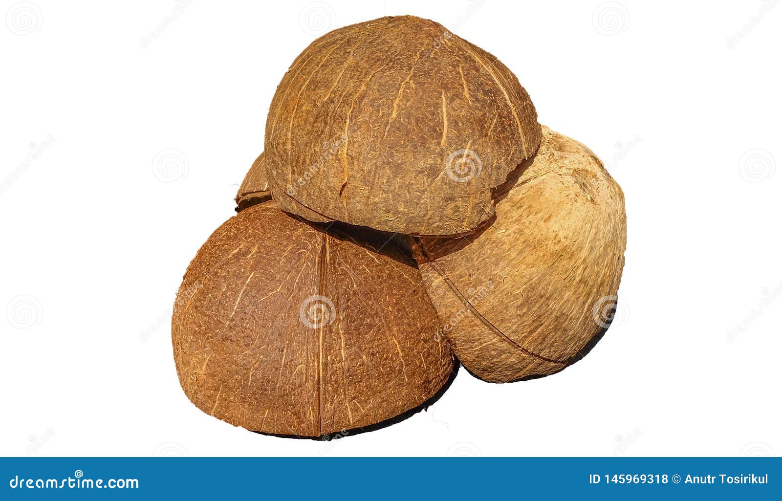 Coconut Shell Isolated on White Background Stock Photo - Image of ...