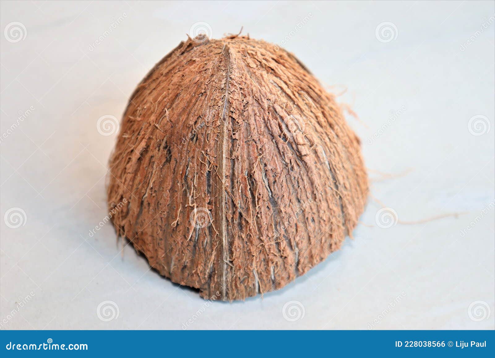 Coconut Shell Isolated in White Background. Stock Photo - Image of ...