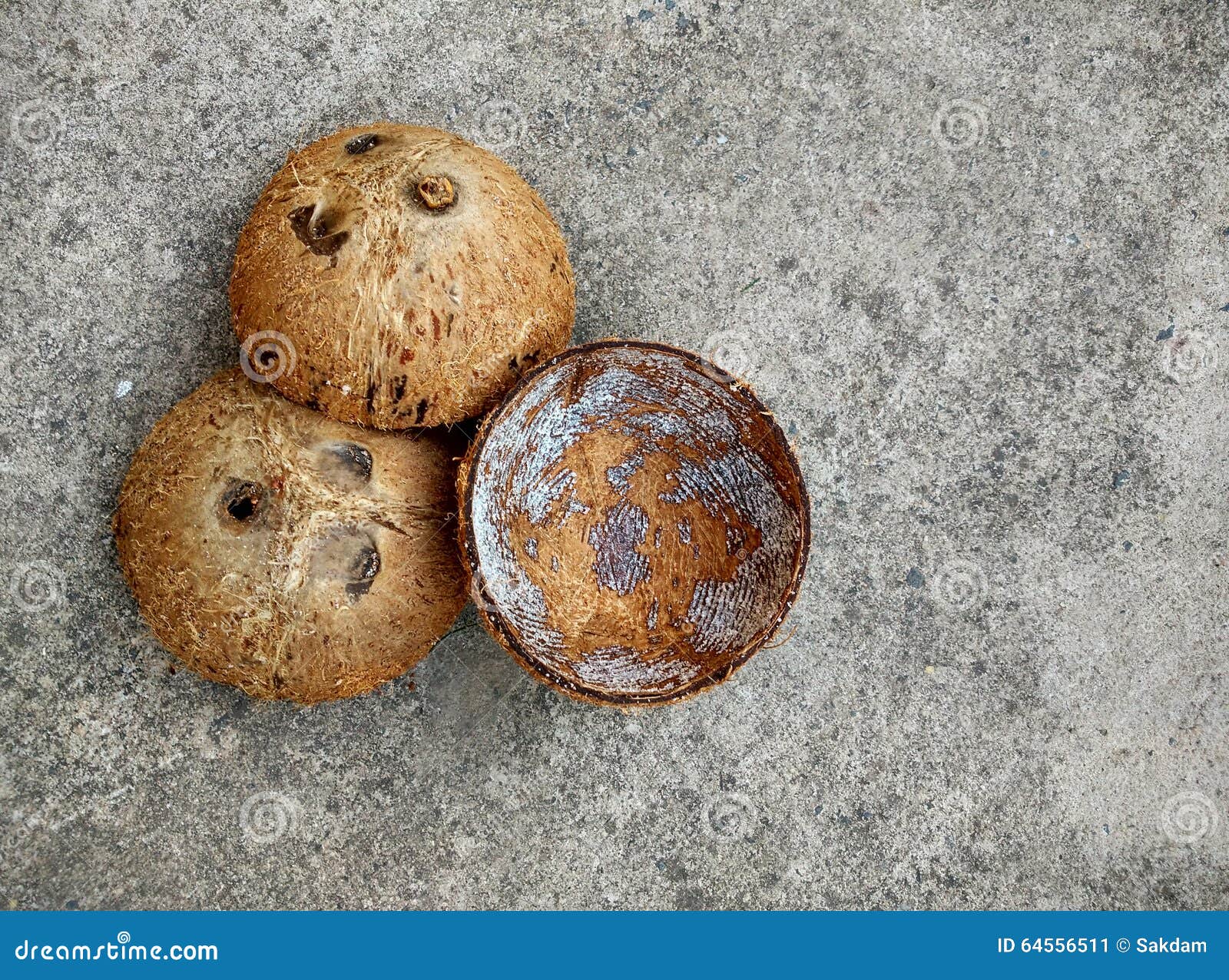 Coconut shell stock image. Image of food, cooking, concrete - 64556511