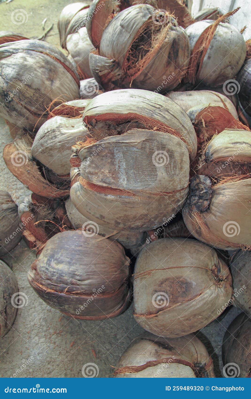 Coconut Shell for Nature Fuel Stock Photo - Image of natural, healthy ...