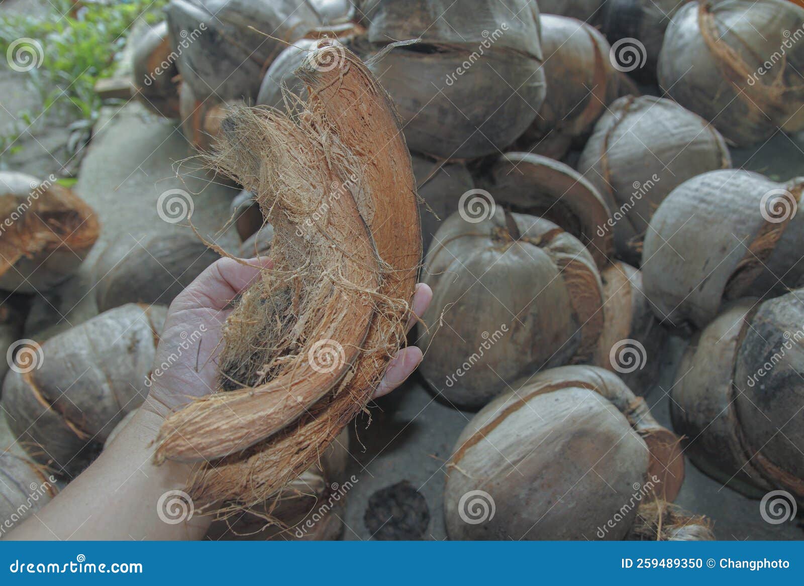 Coconut Shell for Nature Fuel Stock Photo - Image of brown, heap: 259489350