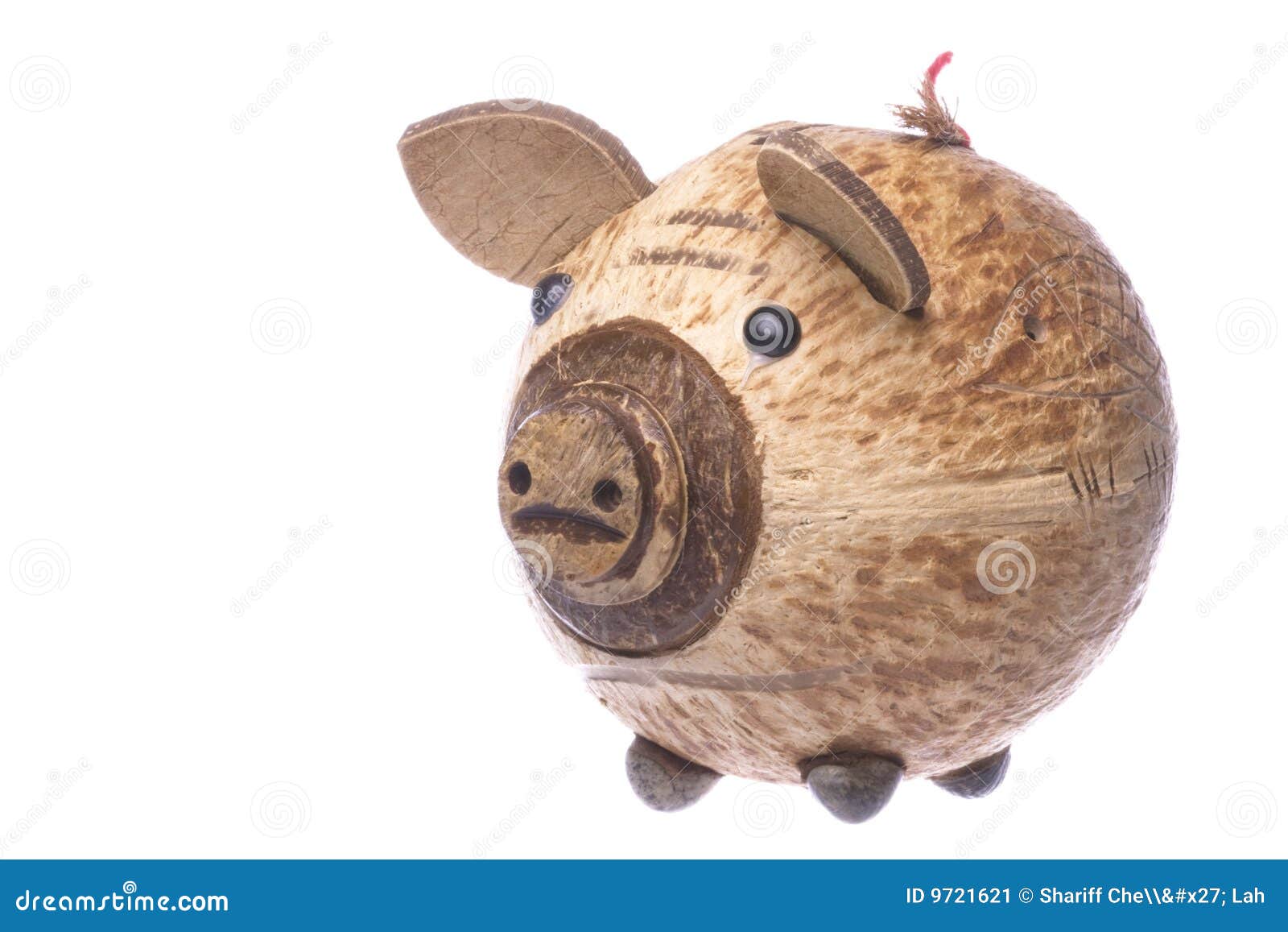 Coconut Shell Piggy Bank Isolated Stock Image - Image of funds, bank ...