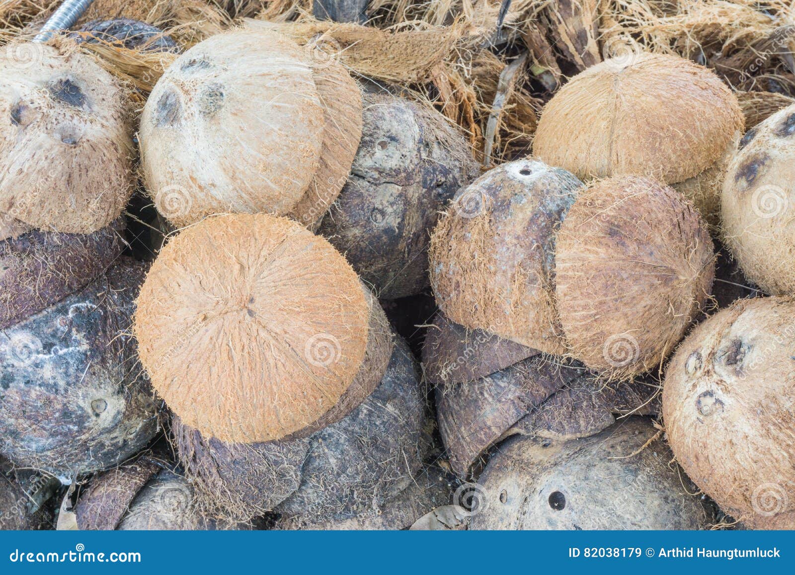 Coconut shell stock image. Image of coco, empty, fibrous - 82038179