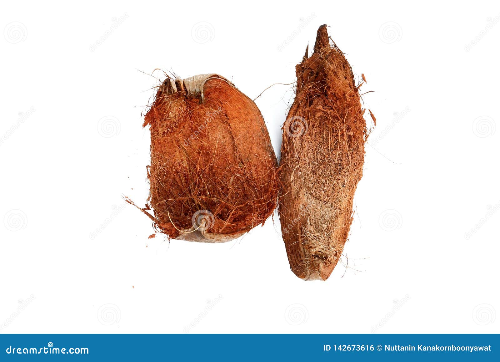Coconut Shell`s Hair,coconut Peel Isolated on White Background Stock ...