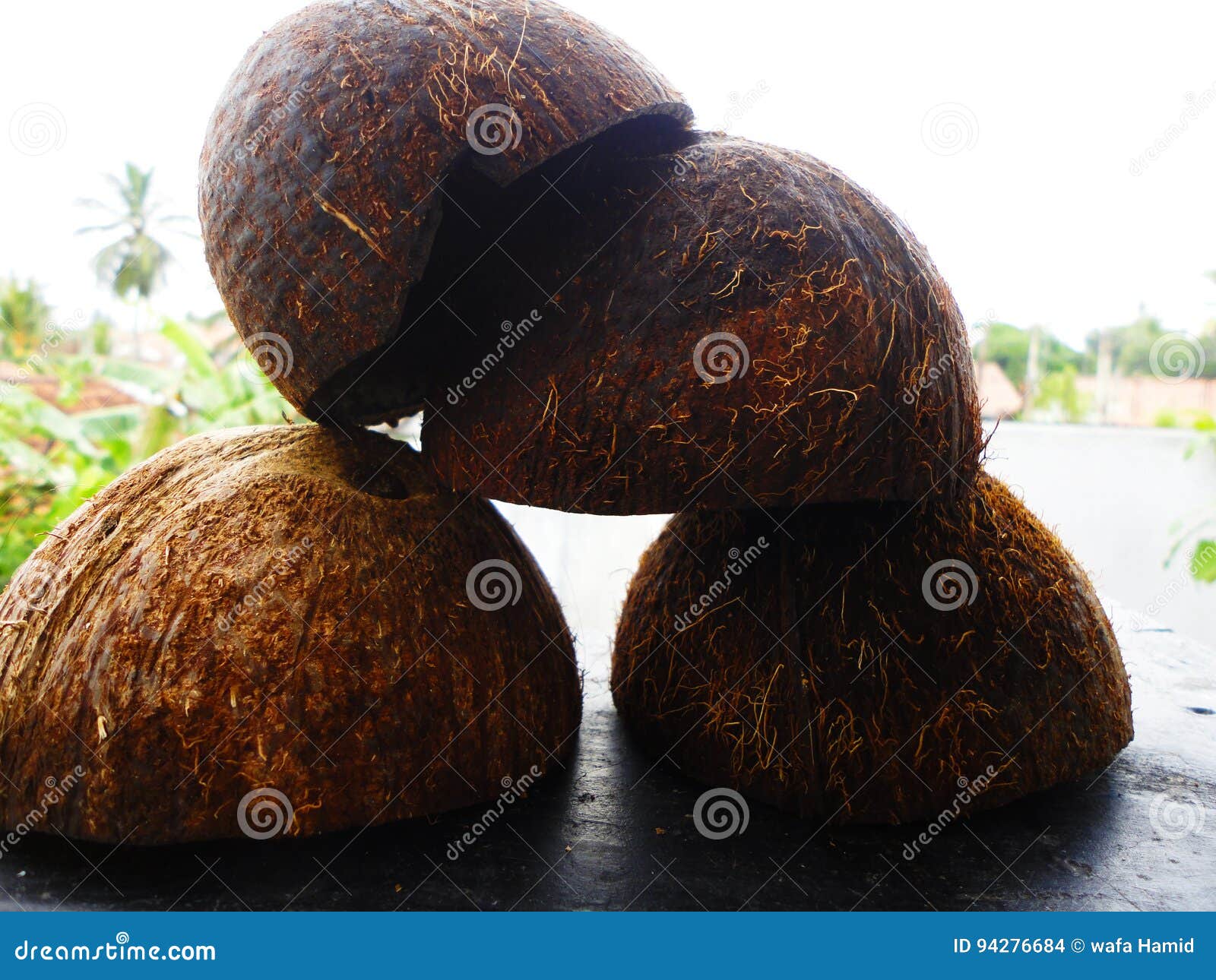 Coconut shell stock photo. Image of shell, shells, brown - 94276684