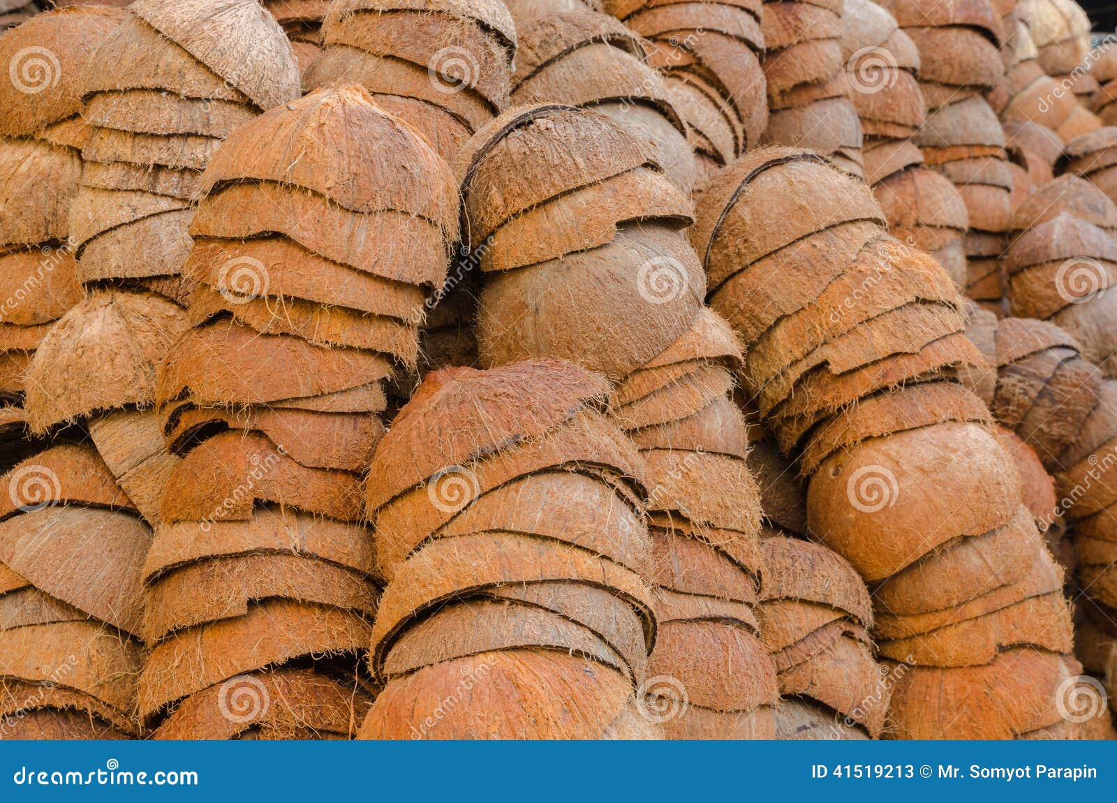 The coconut shell stock image. Image of dump, agriculture - 41519213