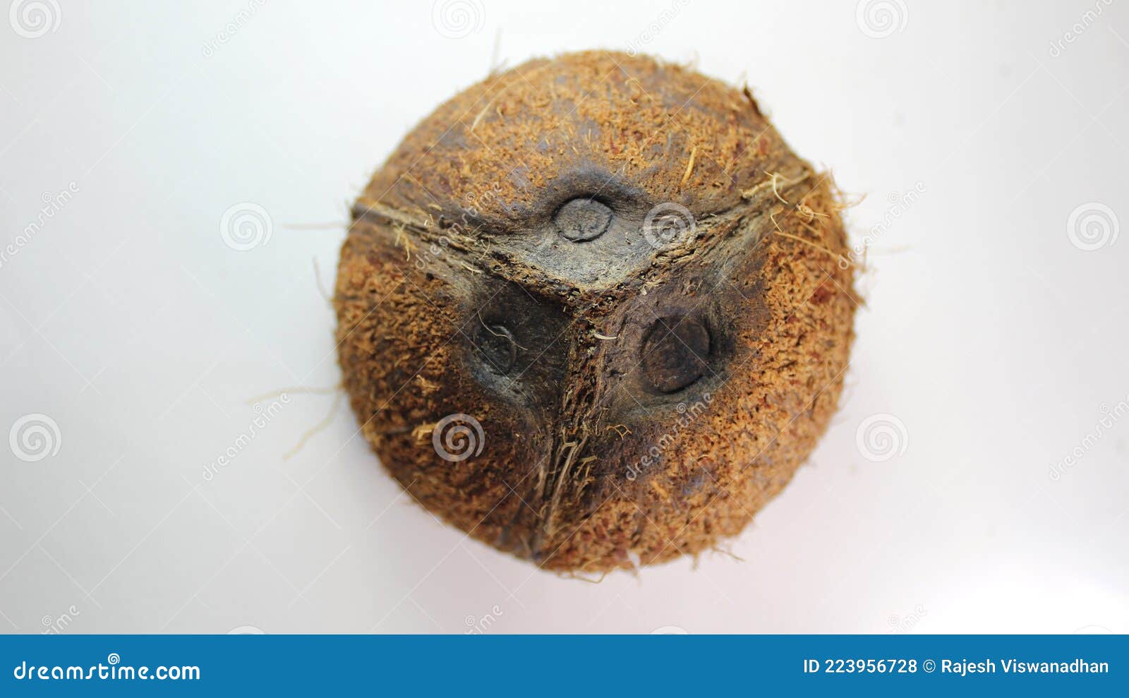 Coconut Shell Top View Isolated Stock Photo - Image of view, neat ...