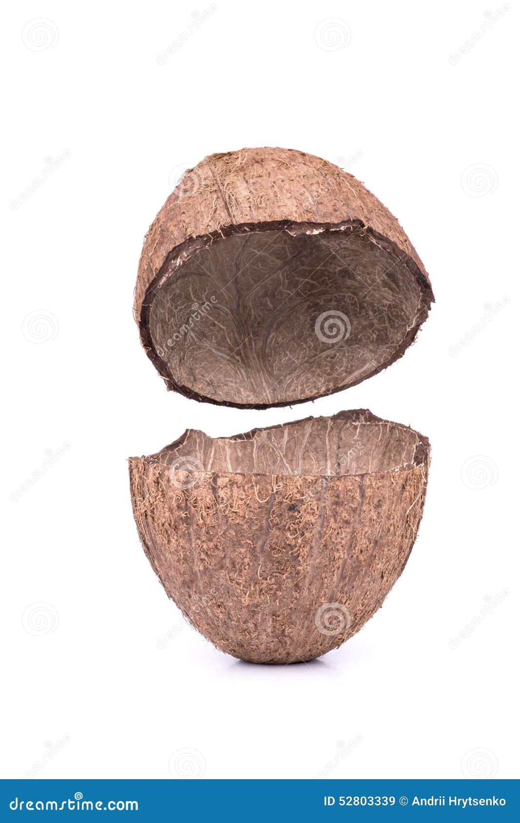 Coconut shell stock image. Image of nature, open, eating - 52803339