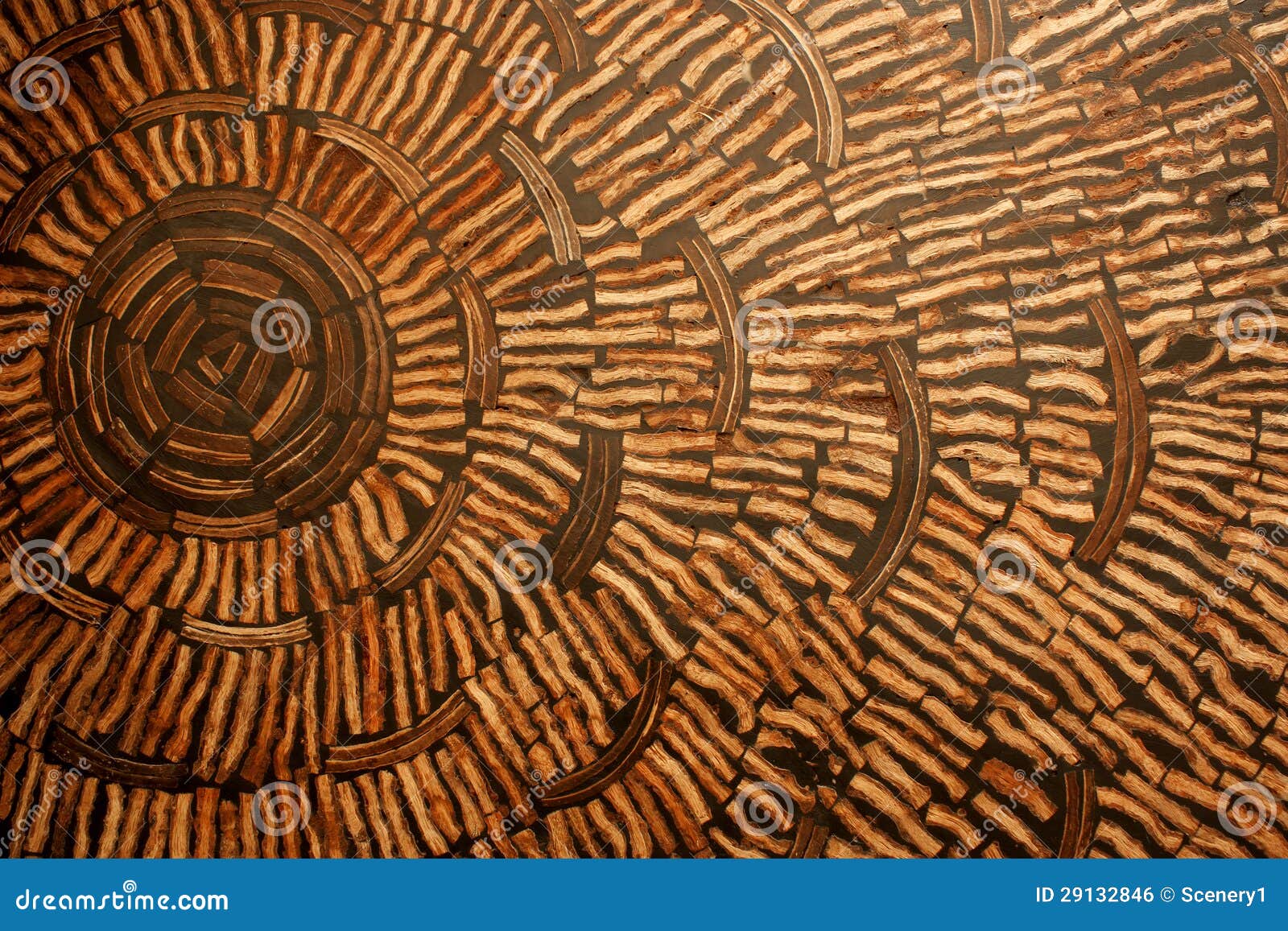 Coconut shell wall. stock photo. Image of articulate - 29132846